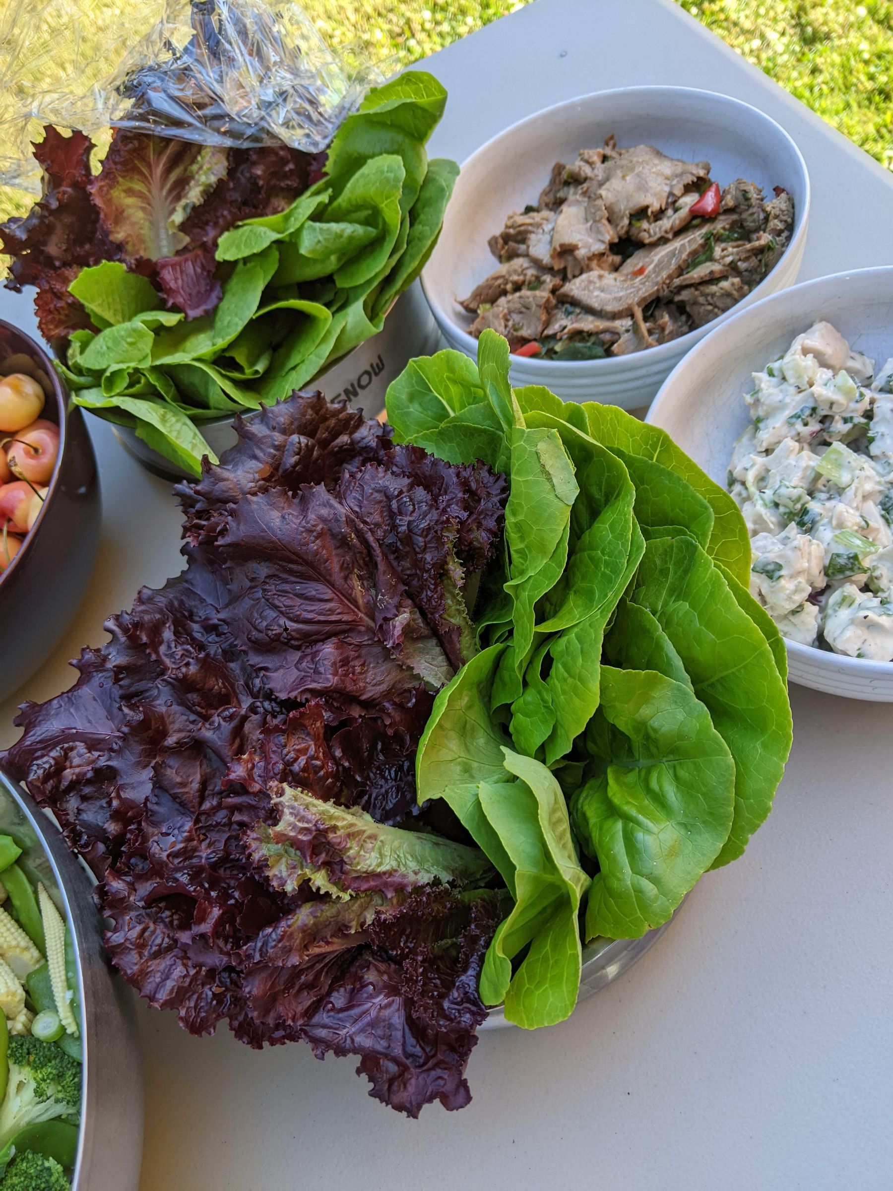 DIY: Transforming My Front Yard From Grass to a Vegetable Garden : 8 ...