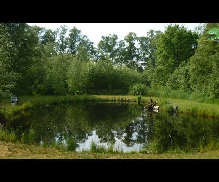 HOW TO BUILD ALL NATURAL POND WITHOUT LINER | LOW COST+MAINTENANCE ...
