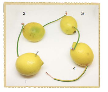 TEACH YOUR CHILD STEP BY STEP HOW TO GENERATE ELECTRICITY WITH LEMON ...