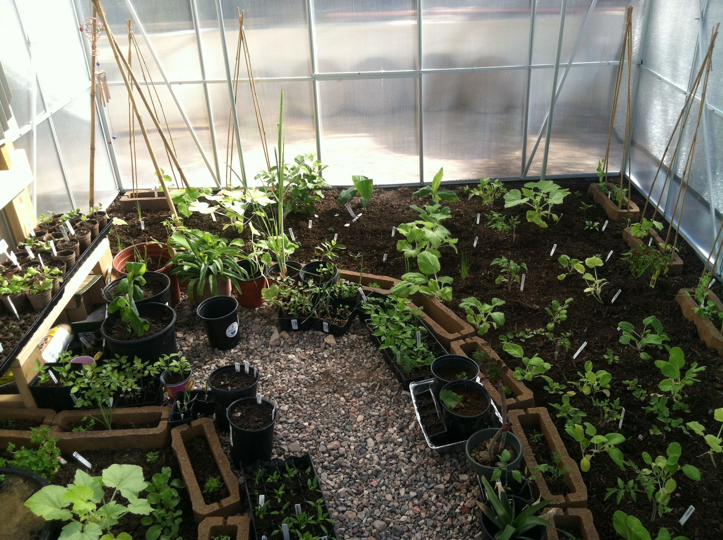Greenhouse Modifications for Hot Climates : 8 Steps (with Pictures ...