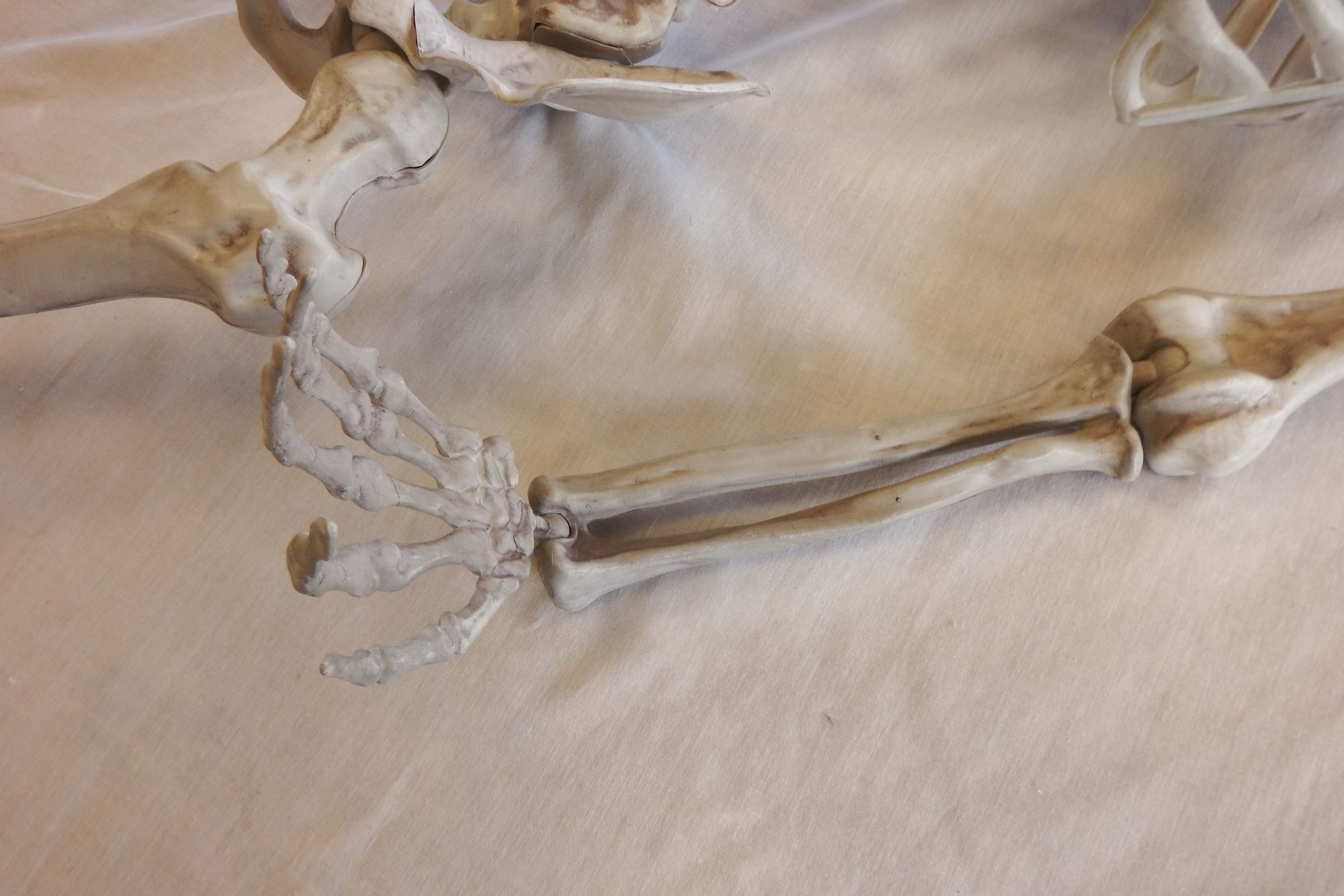 Hack and Repair Plastic Halloween Skeletons : 9 Steps - Instructables