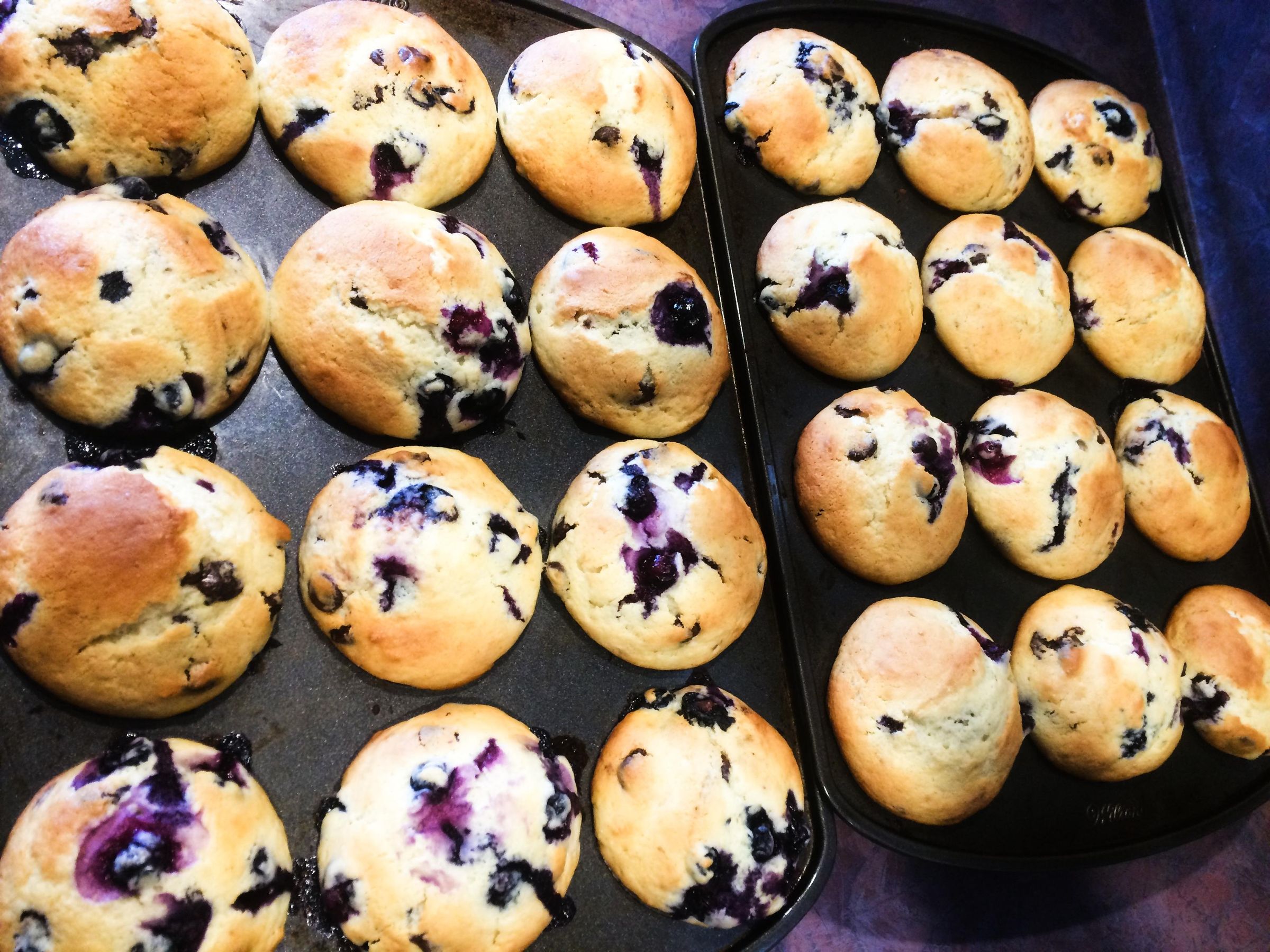 Quick and Easy Blueberry Chocolate Chip Muffins : 15 Steps (with ...