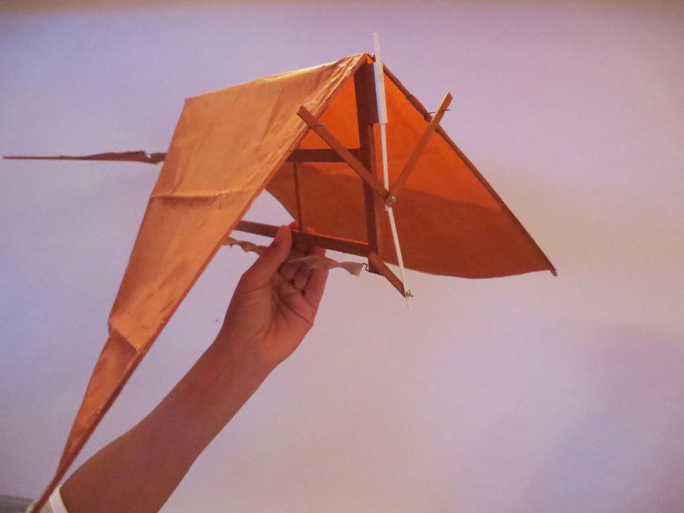 Rubber Band Ornithopter Airplane : 6 Steps - Instructables