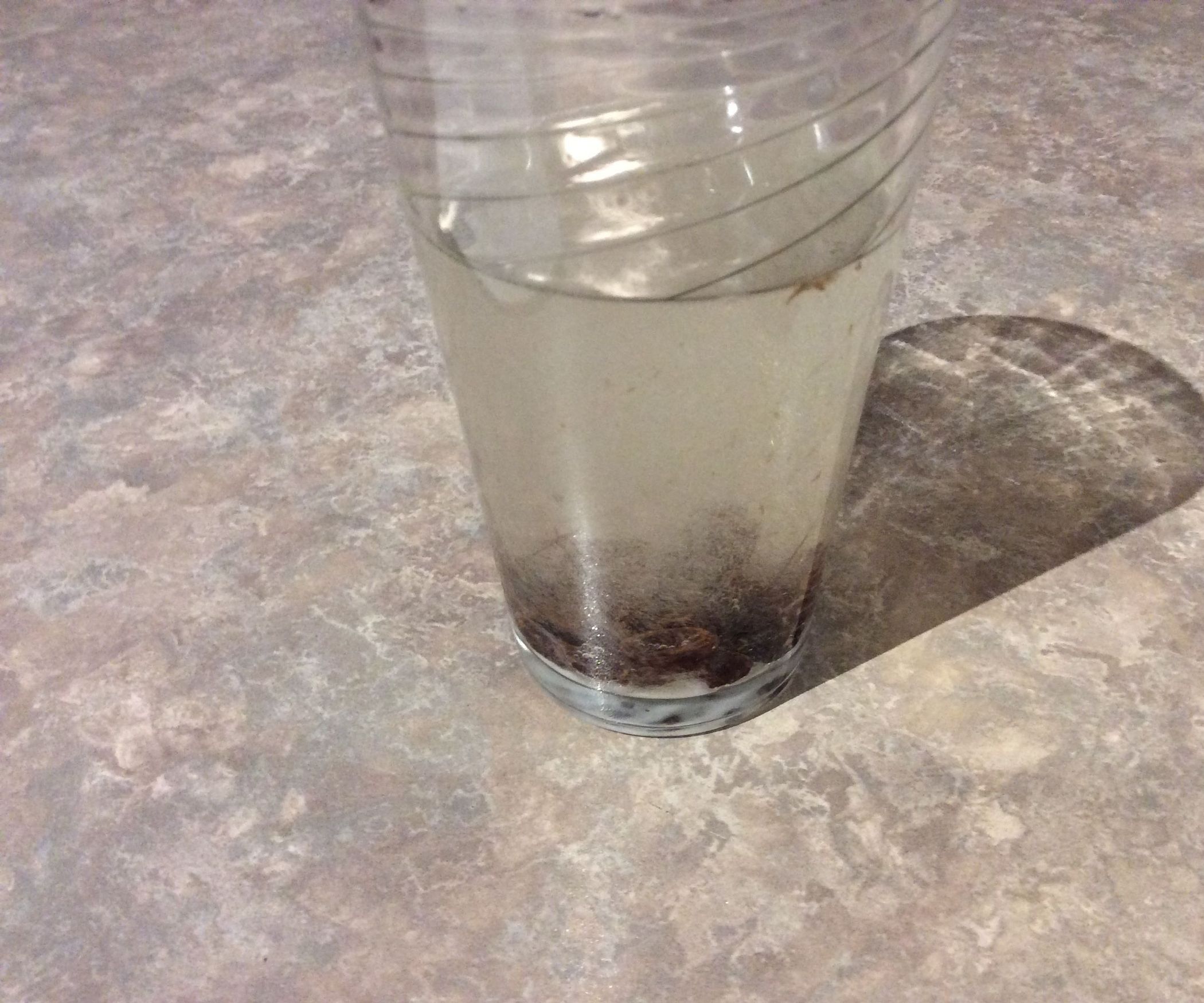 The Dancing Raisins Experiment : 4 Steps (with Pictures) - Instructables