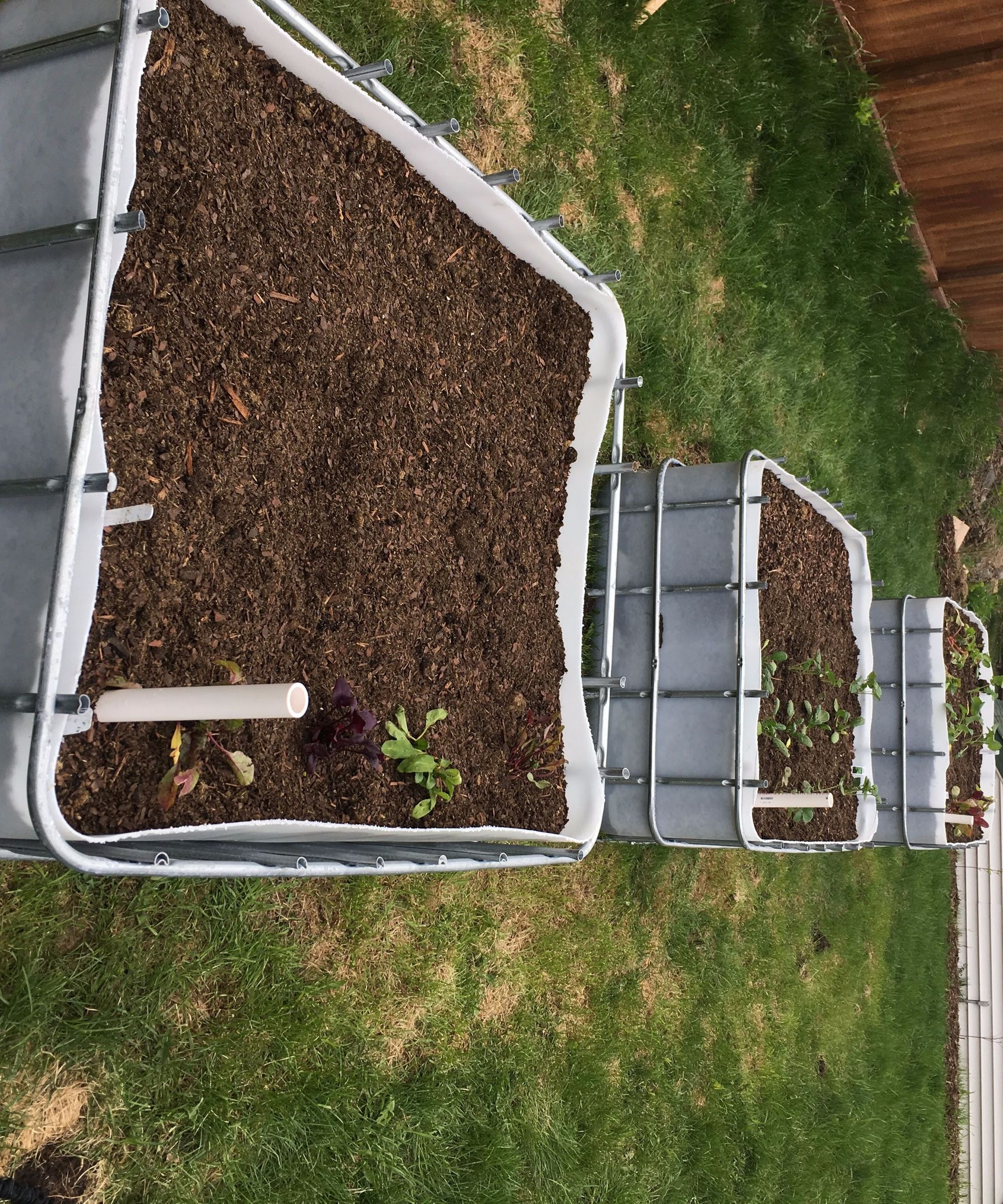Sub-Irrigated Planter From Reclaimed IBC Water Tank : 9 Steps (with ...