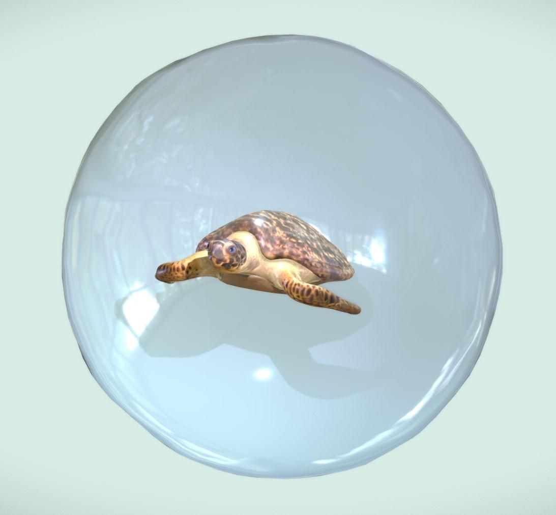 Enlivened Hawksbill Sea Turtle | Animated Photogrammetry Scan : 11 ...