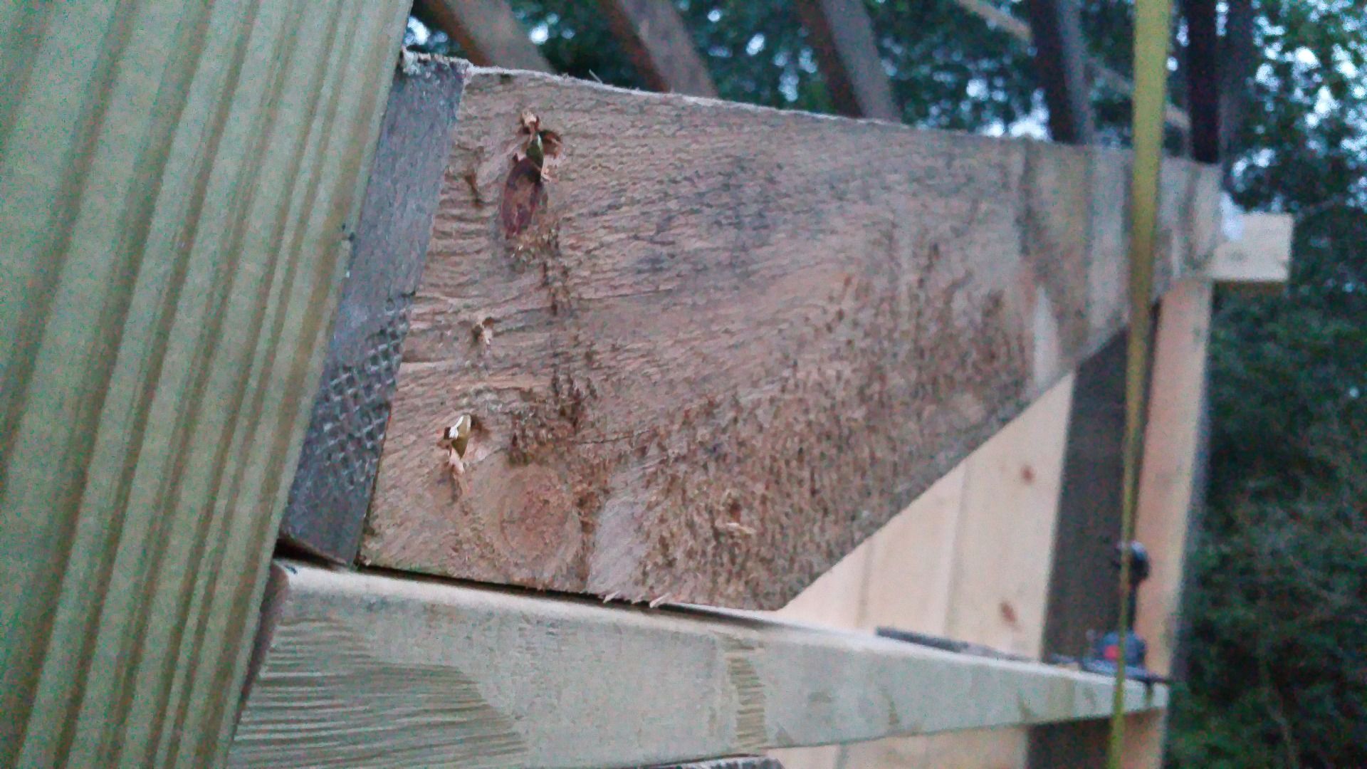 Build a Portable Rough-Sawn Shed : 15 Steps (with Pictures) - Instructables