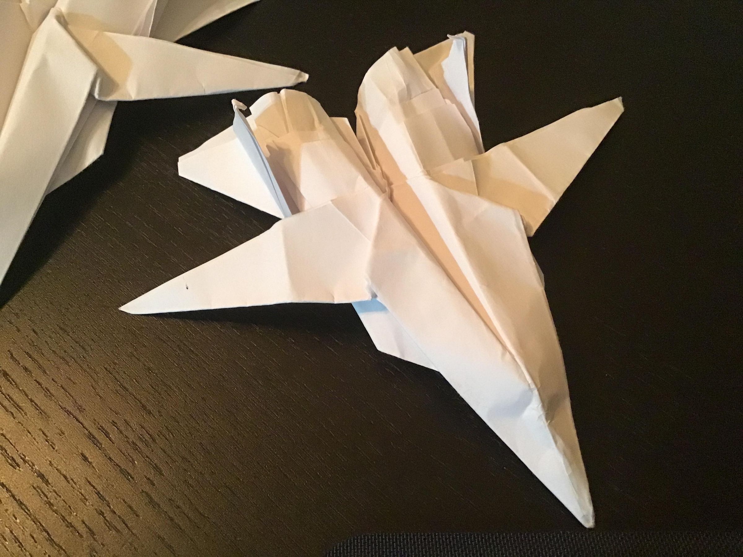 F-14 Tomcat Paper Airplane (Medium) Flies 9-17 Feet With Slide on ...