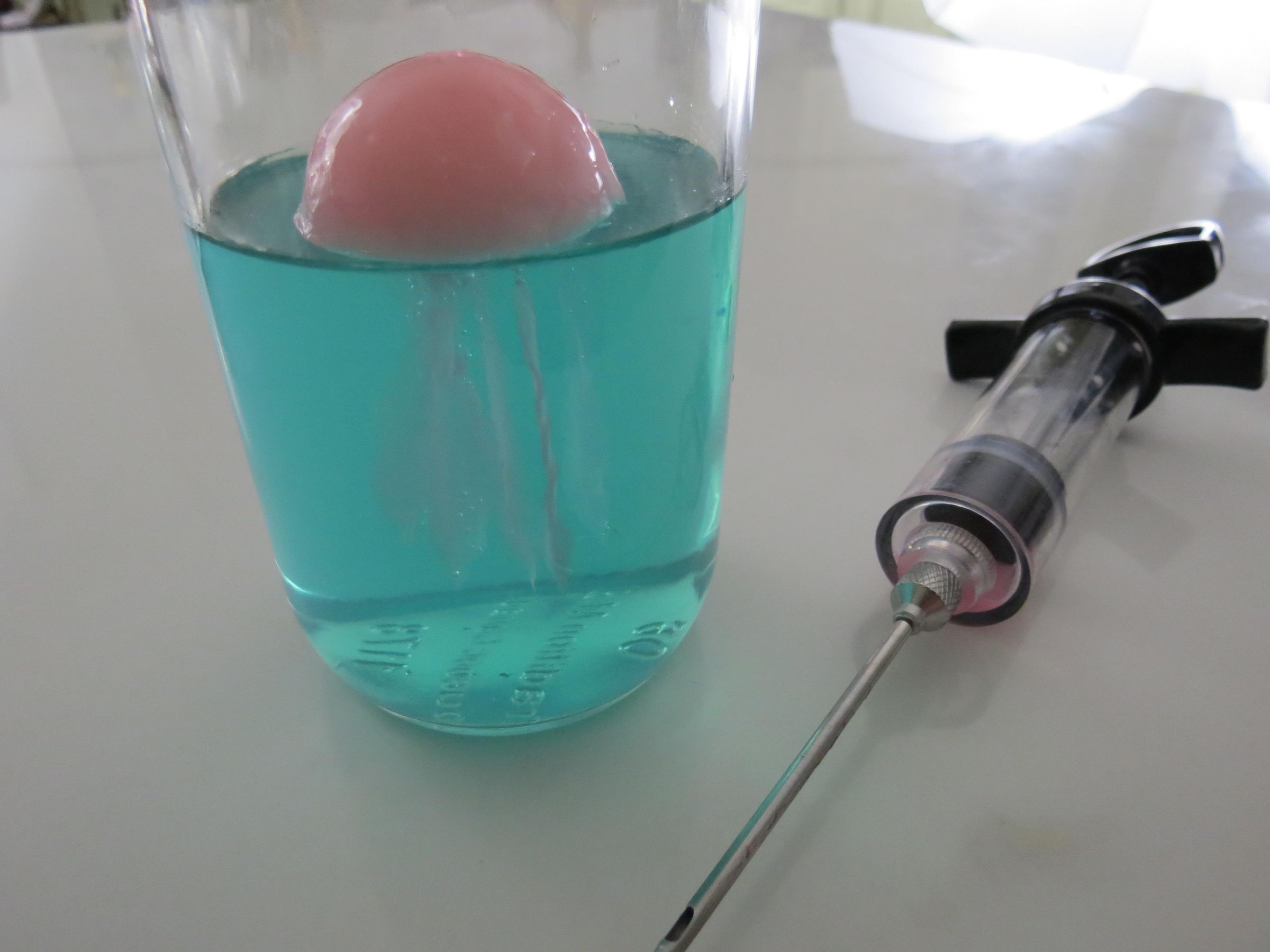 JELLO Jellyfish Aquarium : 9 Steps (with Pictures) - Instructables