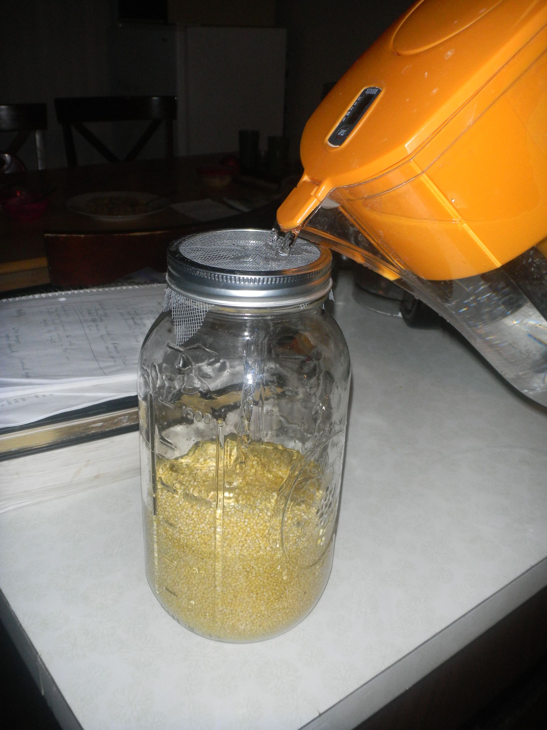 Sprout Quinoa : 4 Steps (with Pictures) - Instructables