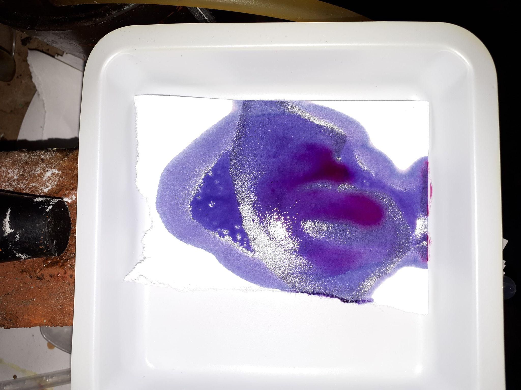 Making Natural Dye Pigments for Painting. : 5 Steps (with Pictures ...