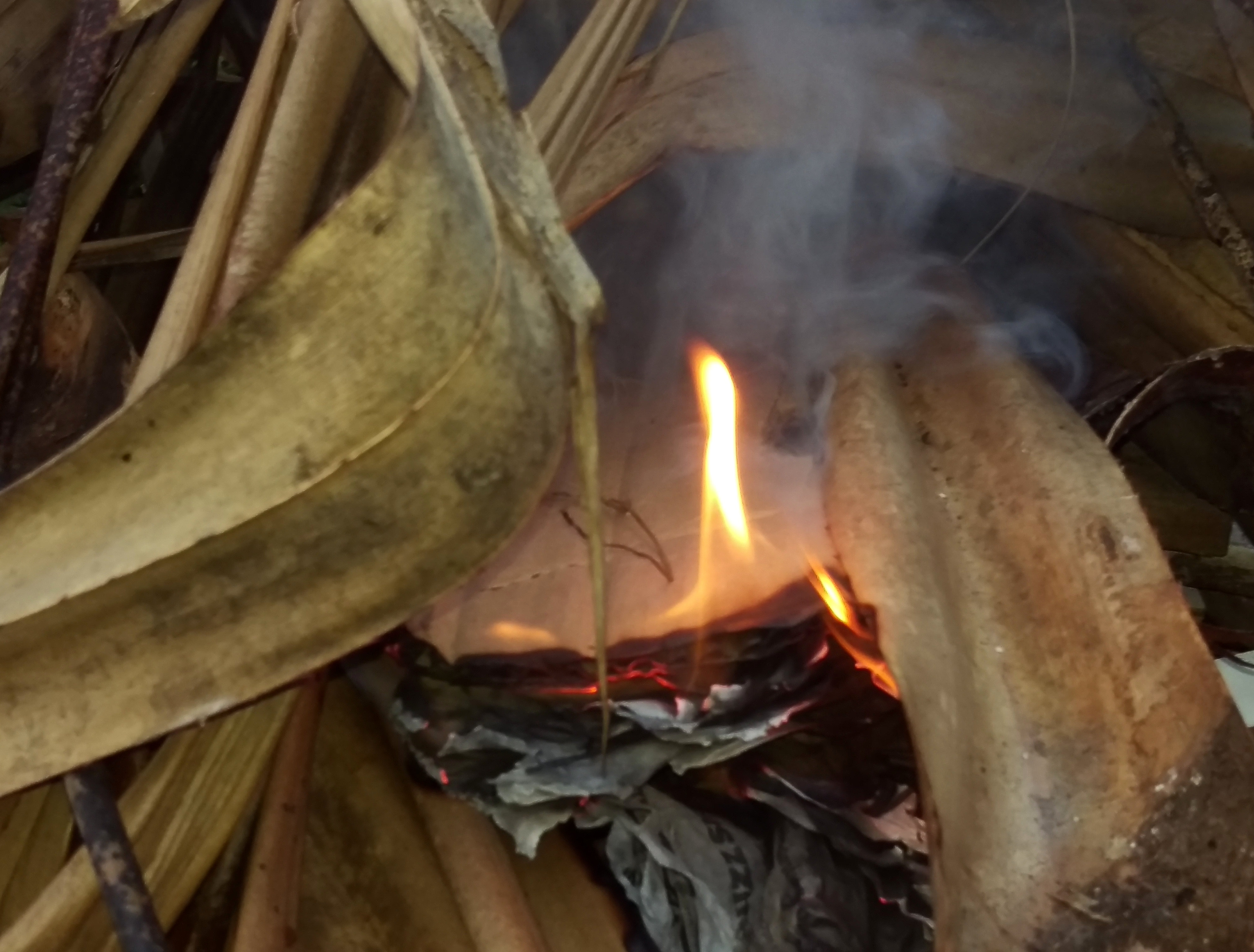 50 Ways to Use Cardboard : 50 Steps - Instructables