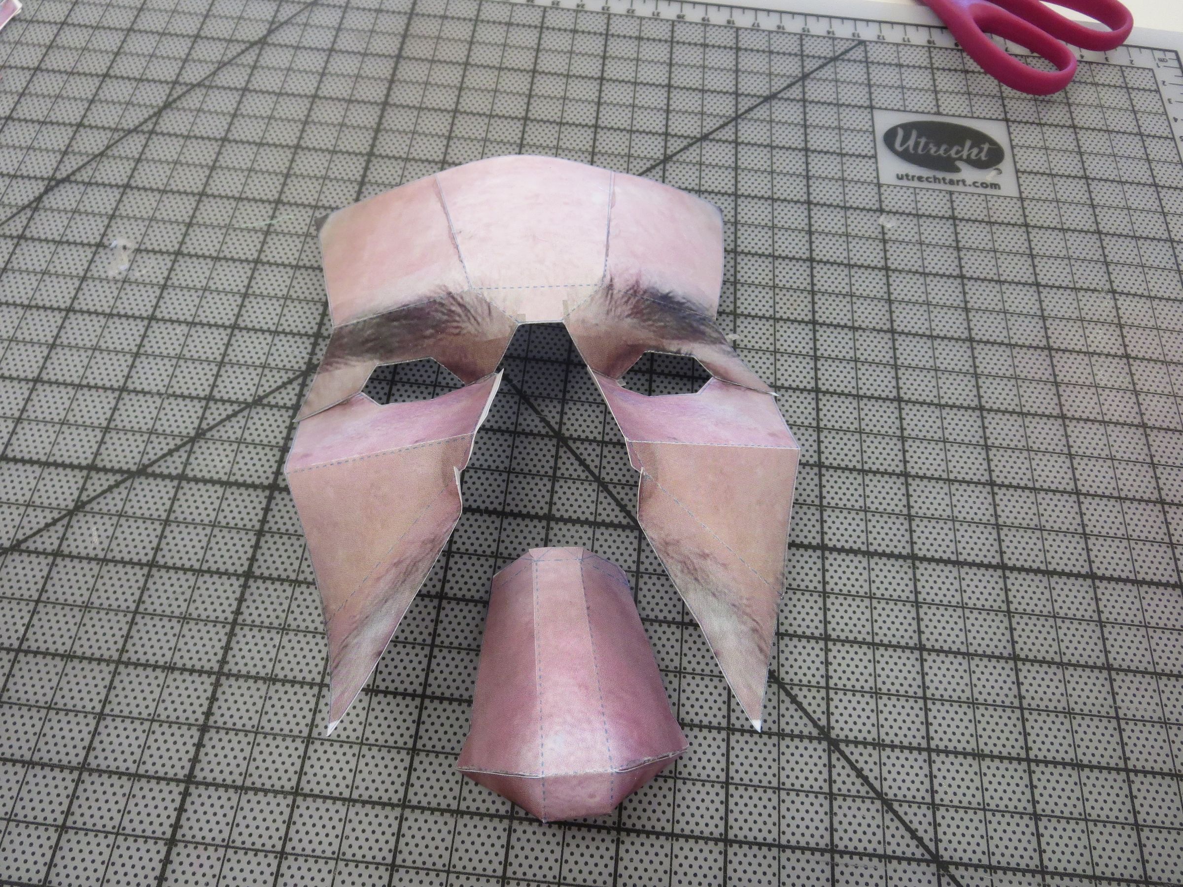 Paperfy Your Face (The Easy Method) : 10 Steps (with Pictures ...