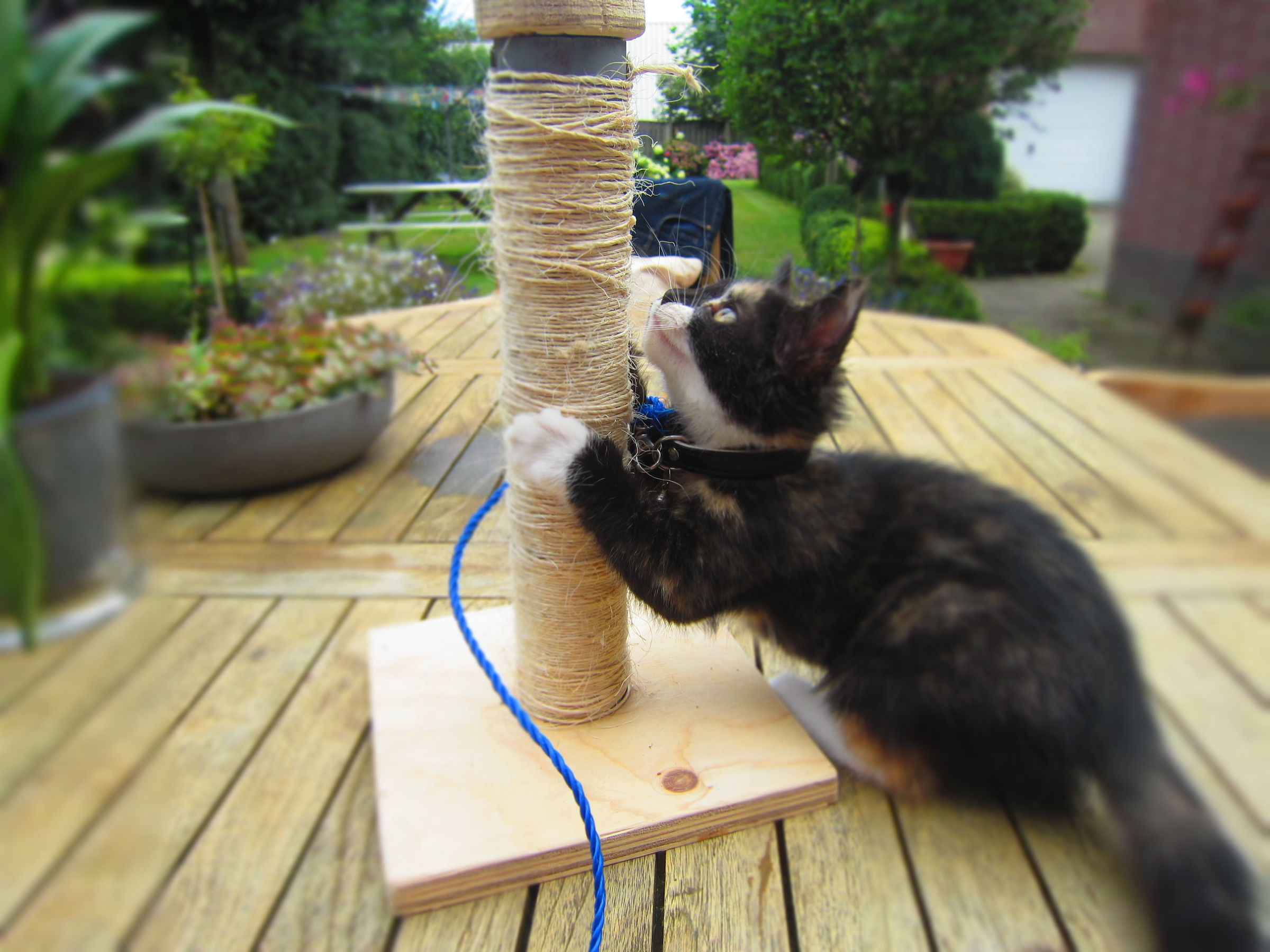 Wooden Scratching Post : 4 Steps (with Pictures) - Instructables