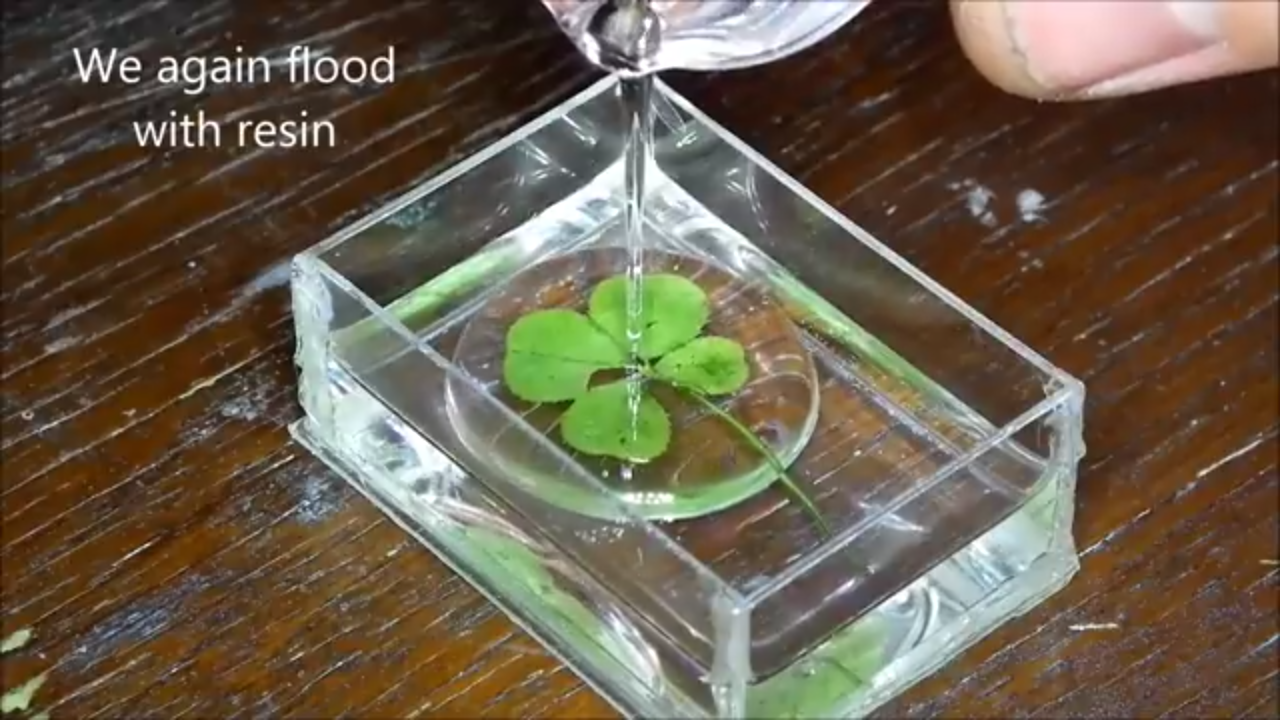 DIY Four-leaf Clover in Resin : 9 Steps (with Pictures) - Instructables