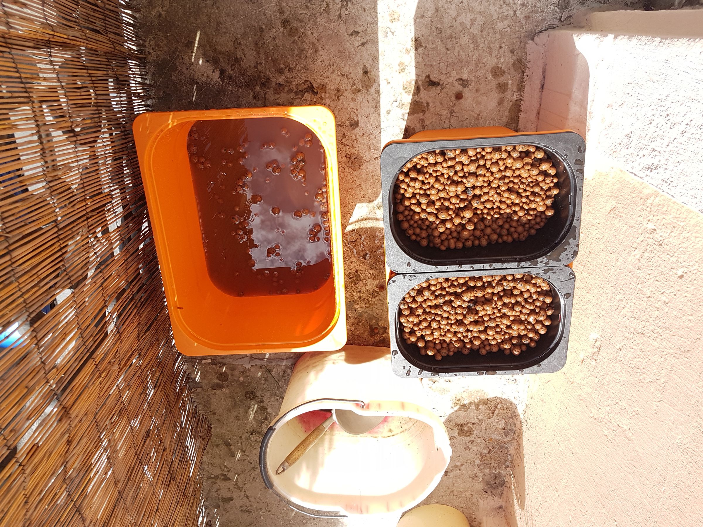 First Timer Hydroponics: DWC System : 9 Steps (with Pictures ...