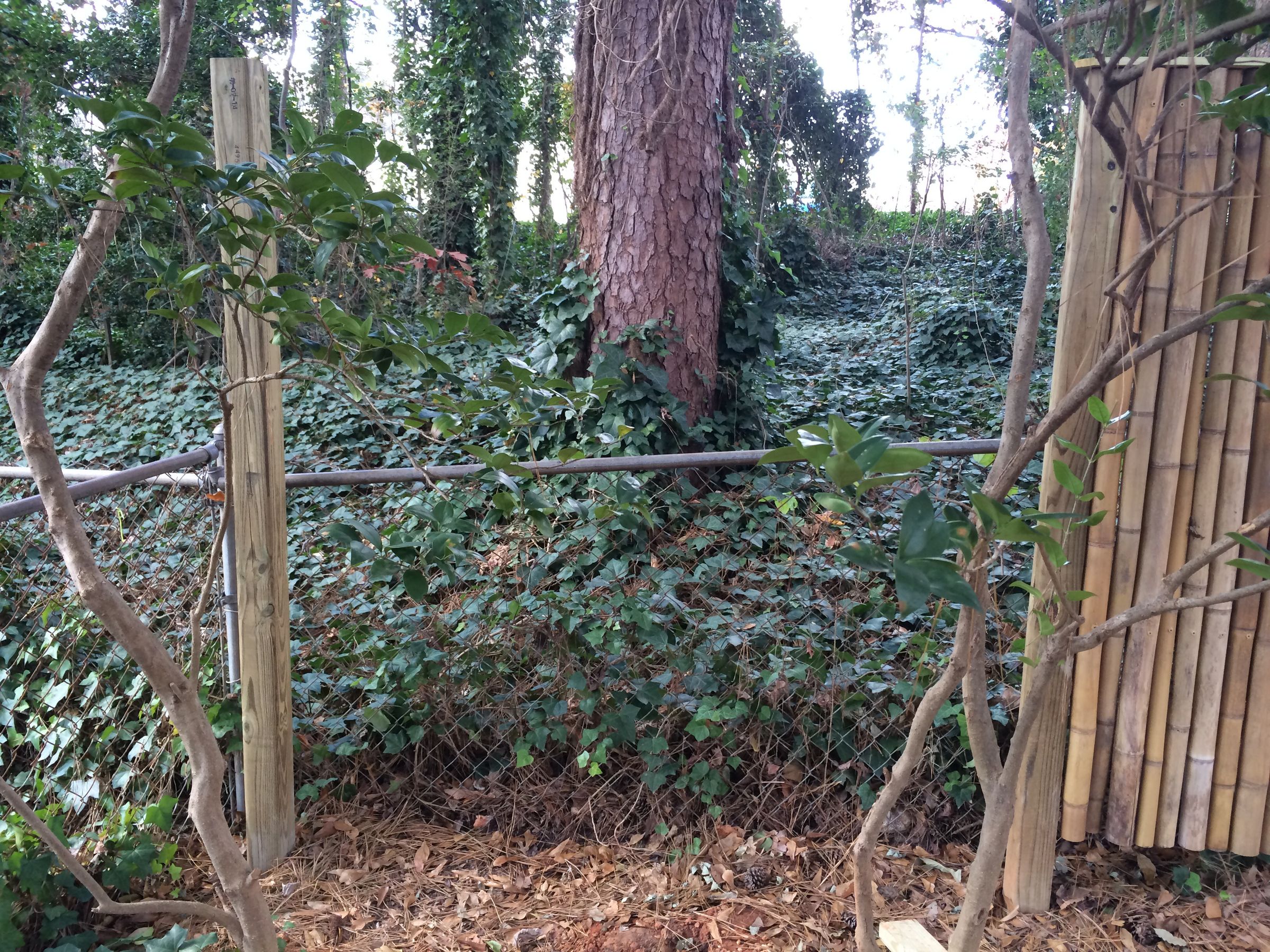Bamboo Fence : 41 Steps (with Pictures) - Instructables