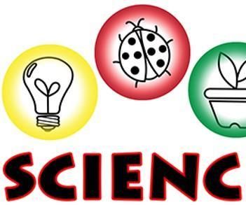 Science Fair : 12 Steps - Instructables