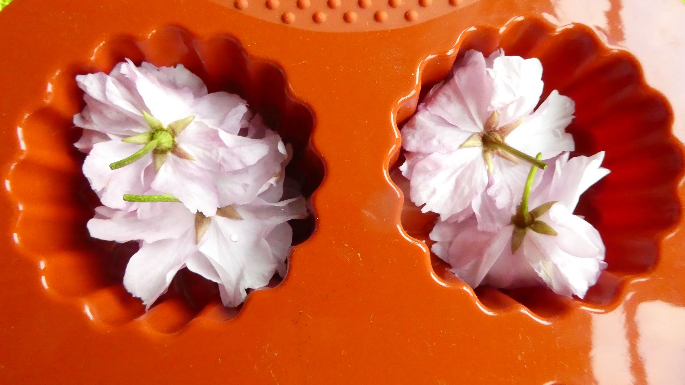 Cherry Blossom Parfait : 13 Steps (with Pictures) - Instructables