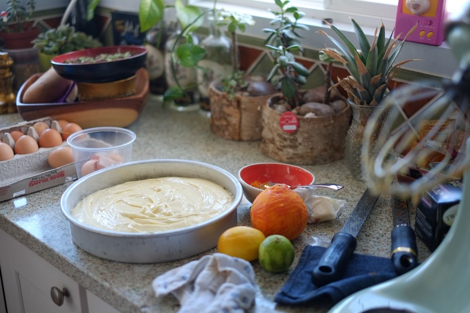 Floral Tentacle Cake : 5 Steps (with Pictures) - Instructables