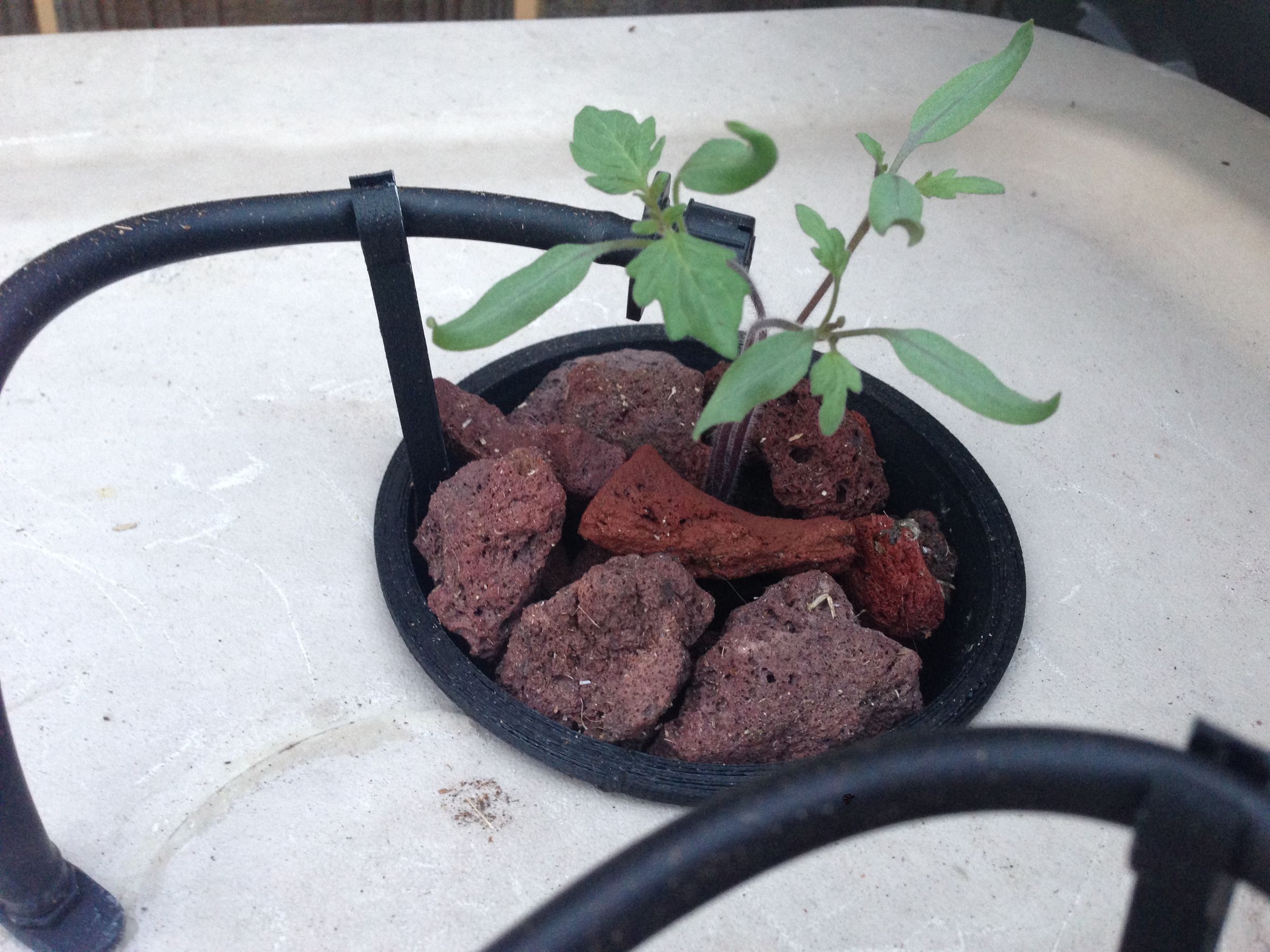 Small Scale Outdoor Solar Hydroponic System : 6 Steps (with Pictures ...
