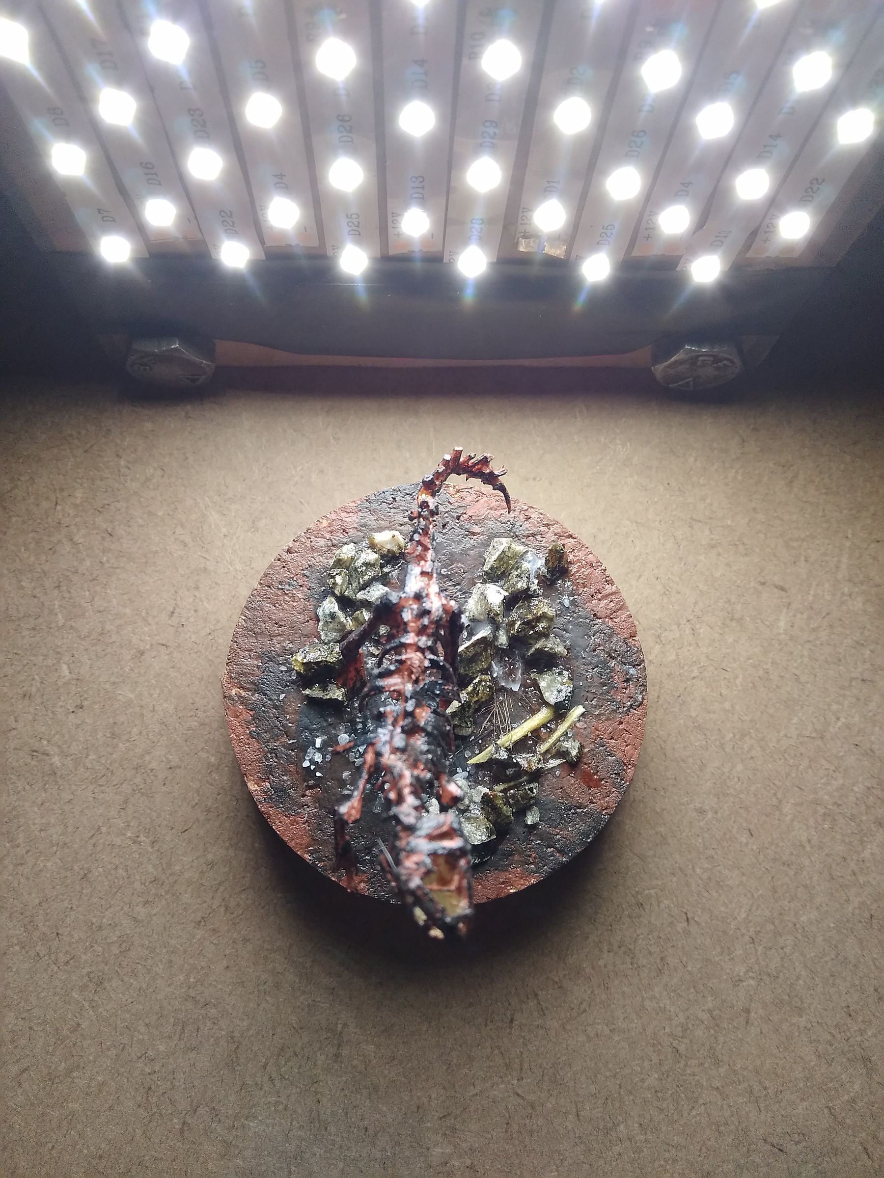 200:1 Miniature T-Rex Skeleton : 8 Steps (with Pictures) - Instructables