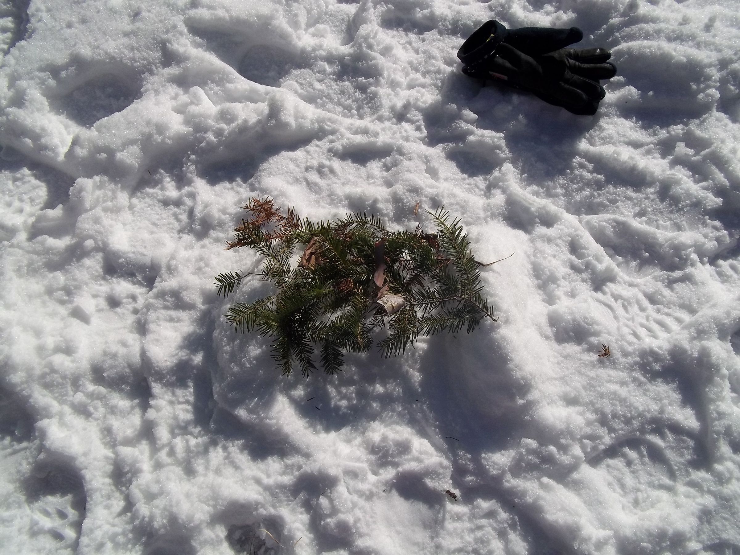 How to Make a Snow Shelter : 5 Steps - Instructables