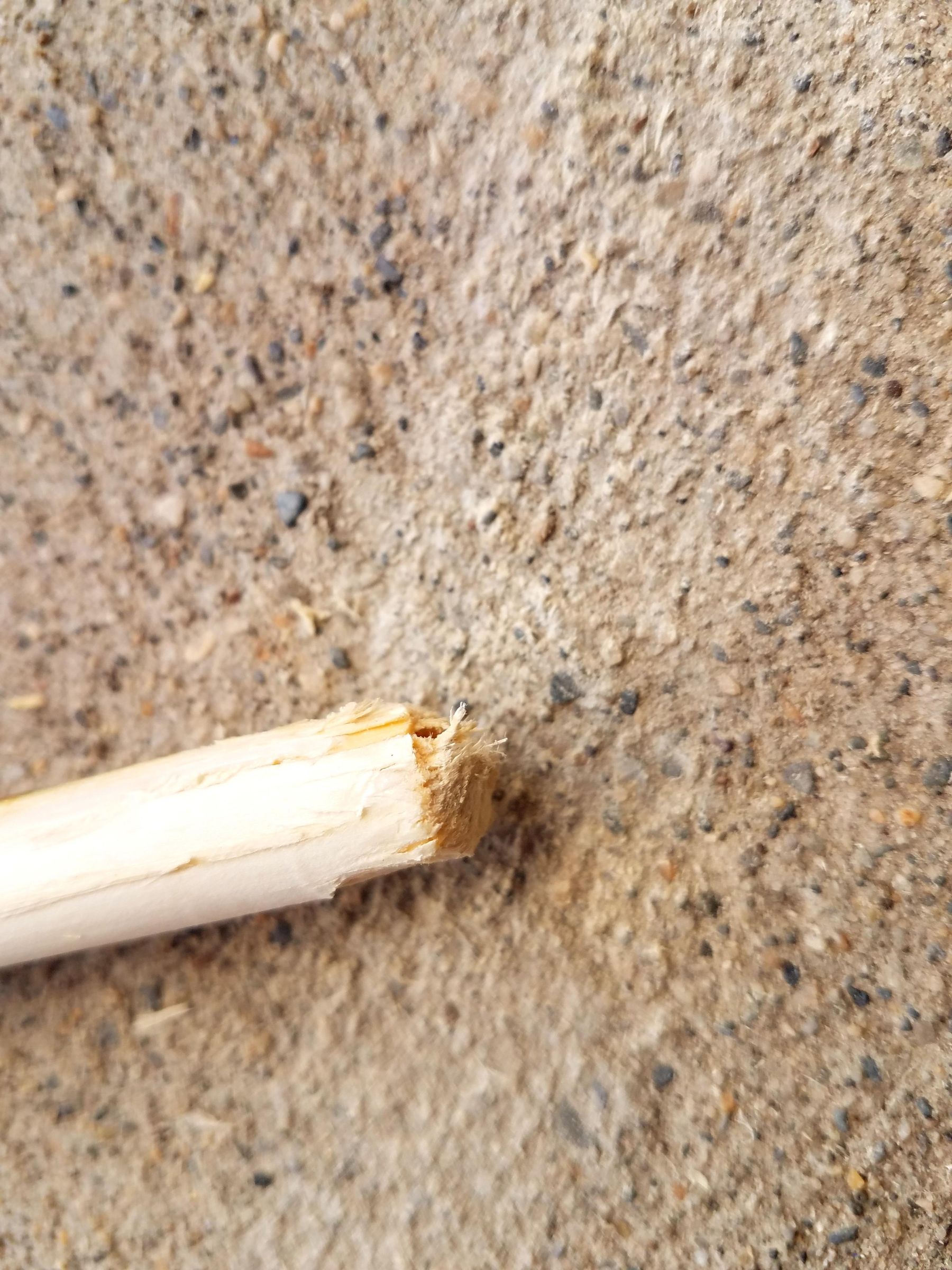 Complete Hobo Stove & Cooking Pots System Bundle, No Tools Build, for ...