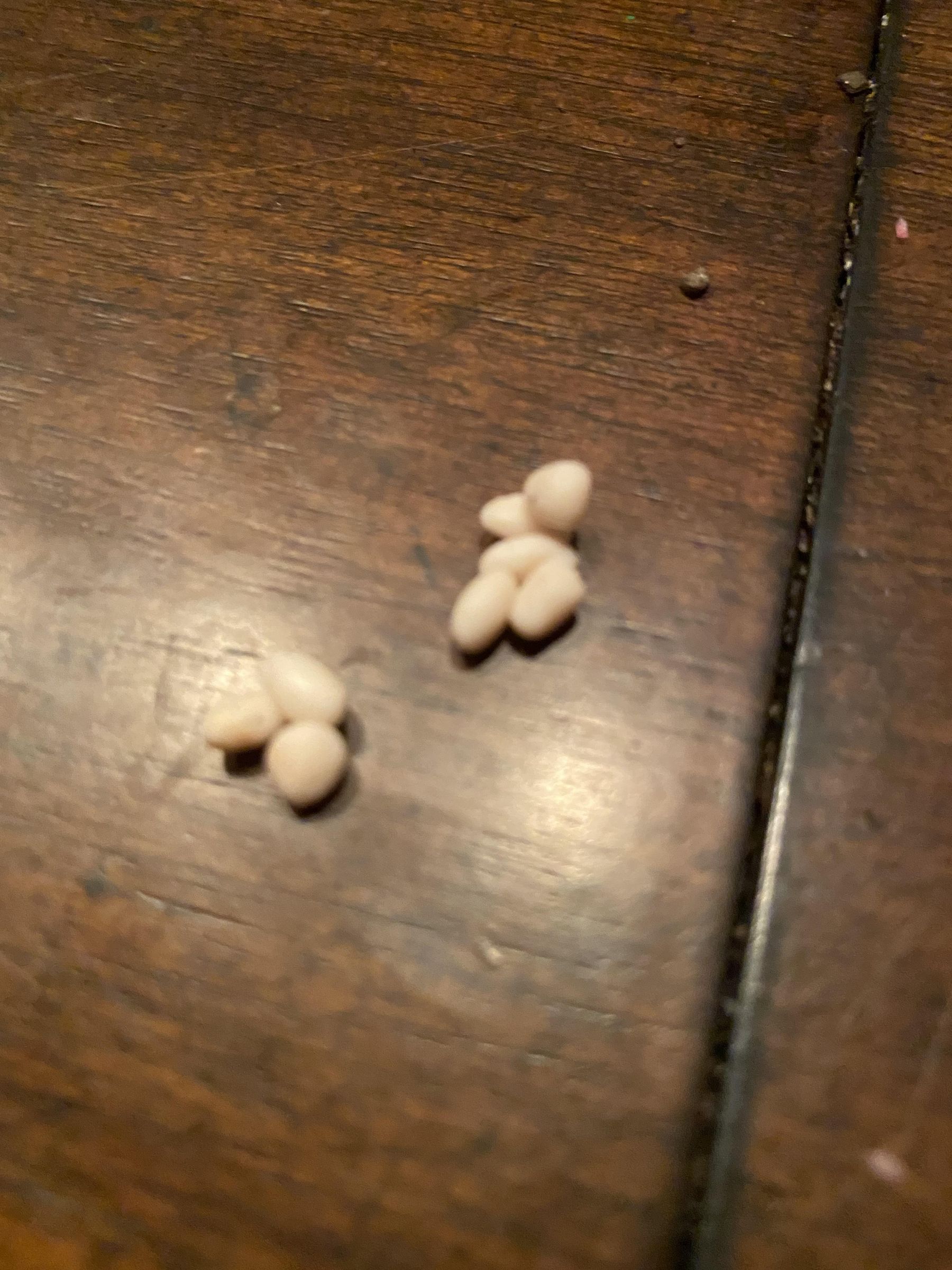 How to Make Adorable Mini Clay Pies : 7 Steps (with Pictures ...