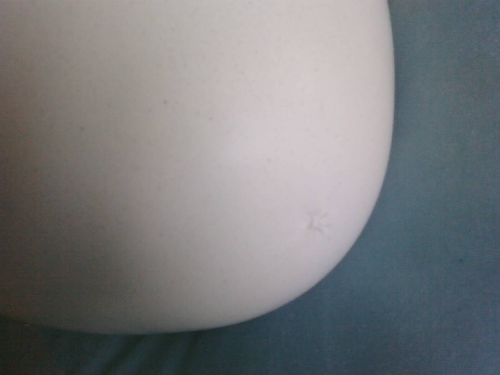 Giant Plaster Easter (Dinosaur) Egg : 9 Steps (with Pictures ...