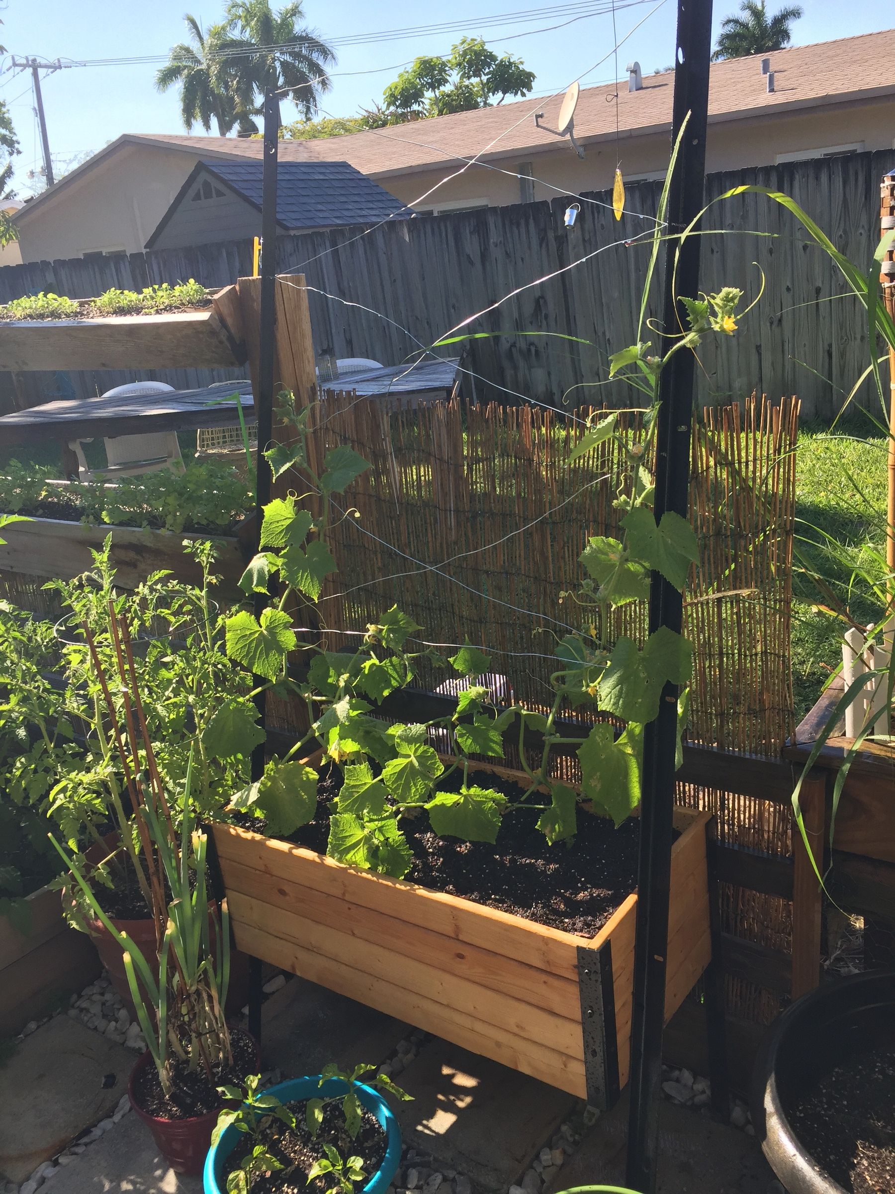 My $10 Reclaimed Climbing Vine Planter Box! : 3 Steps (with Pictures ...