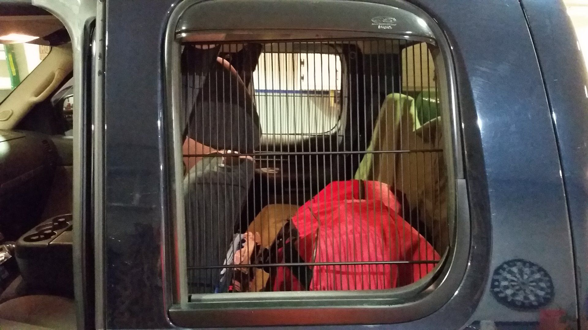 Window Grates (Automotive) : 5 Steps - Instructables