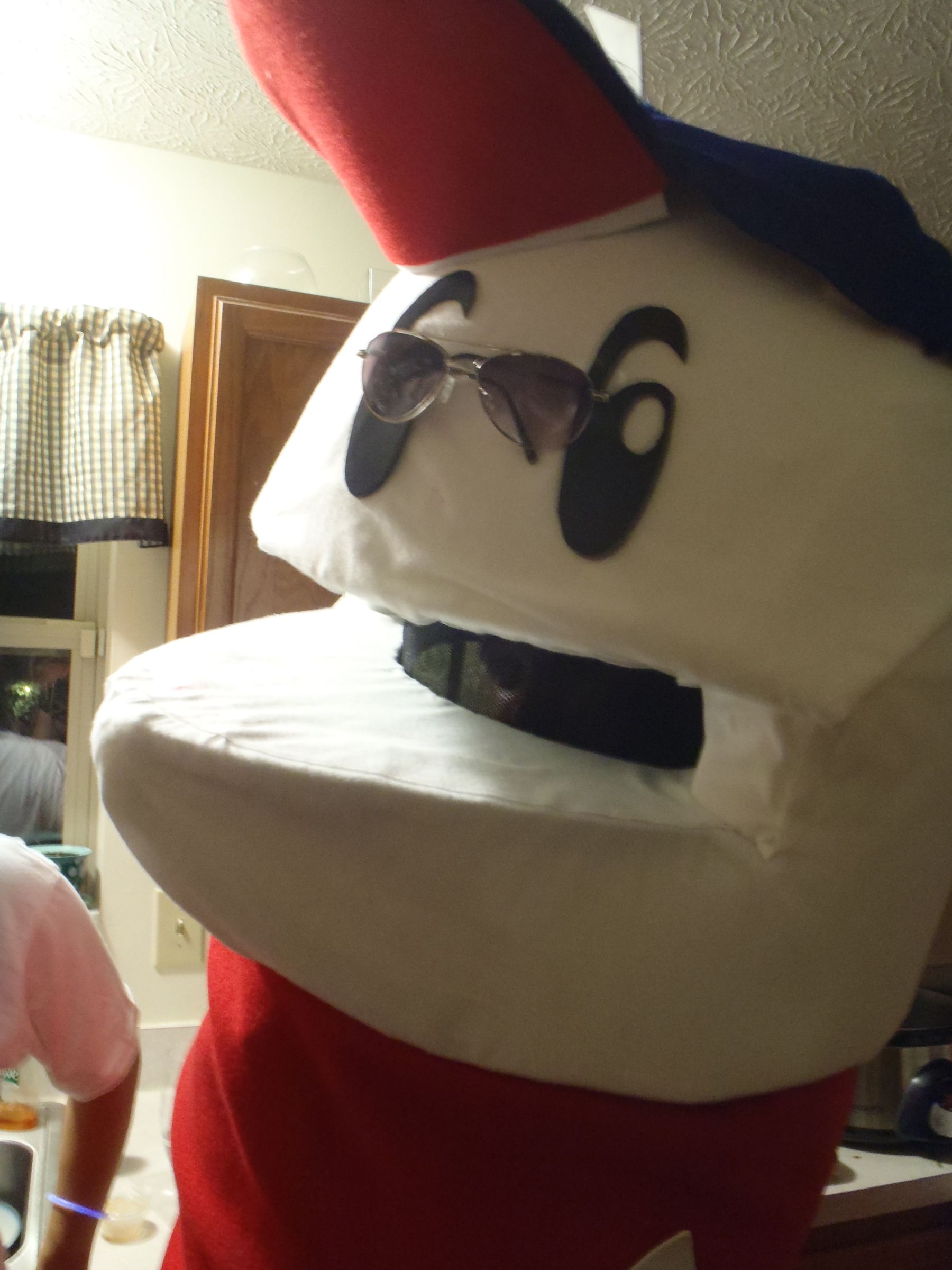 Homestar Runner Costume!! : 8 Steps (with Pictures) - Instructables