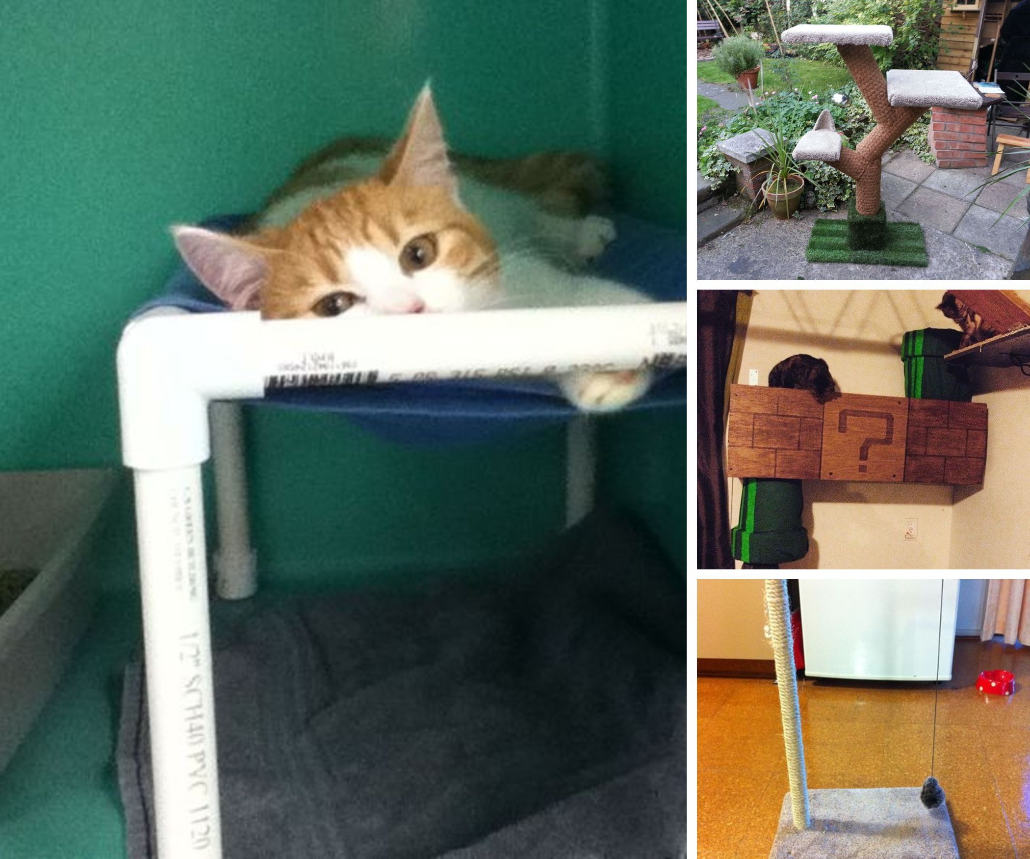 Cat Stuff - Instructables