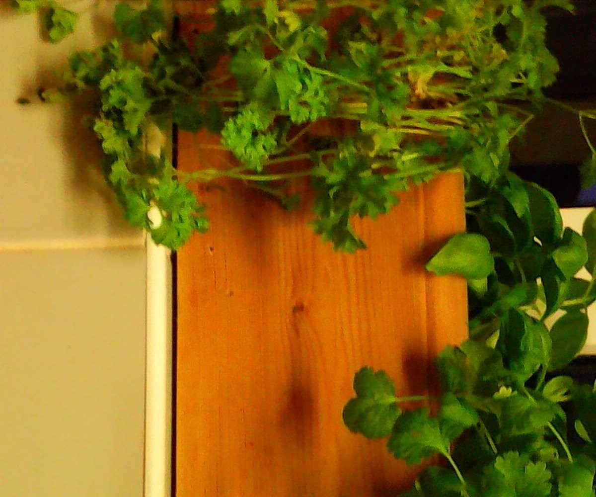 My Awesome Herb Planter Easily : 4 Steps - Instructables