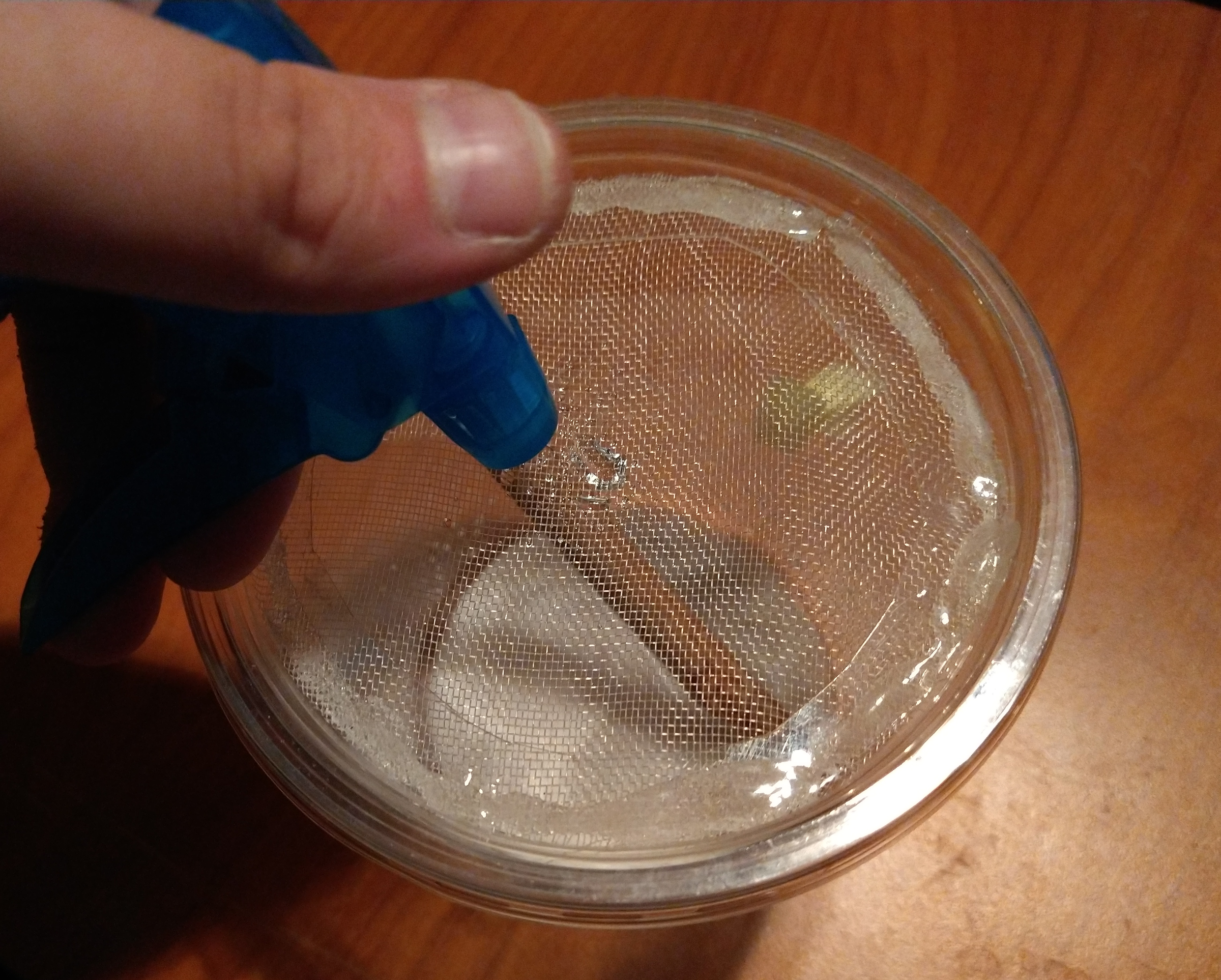 Perfect Praying Mantis Cups : 9 Steps (with Pictures) - Instructables