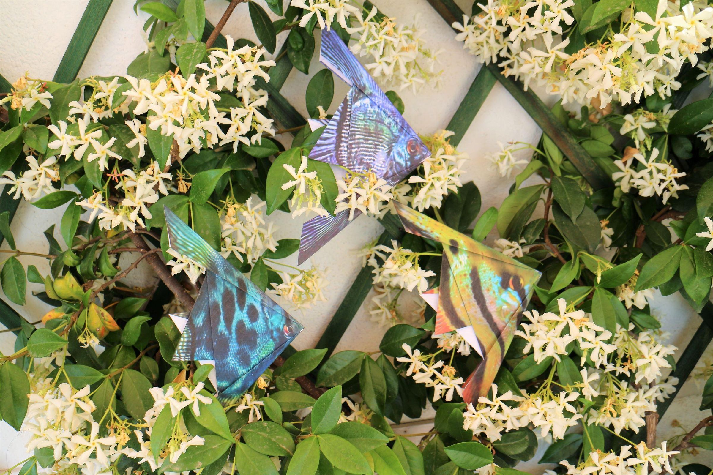 DIY Origami Model to Printable Detailed Origami Paper : 7 Steps ...