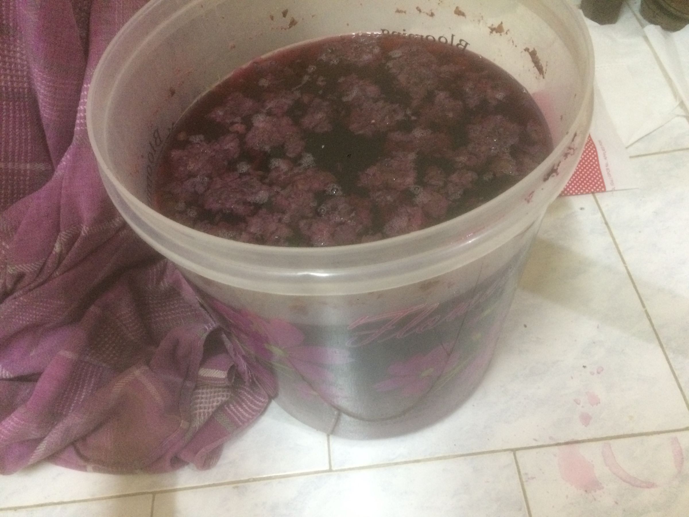 How to Make Jamun Wine : 8 Steps (with Pictures) - Instructables
