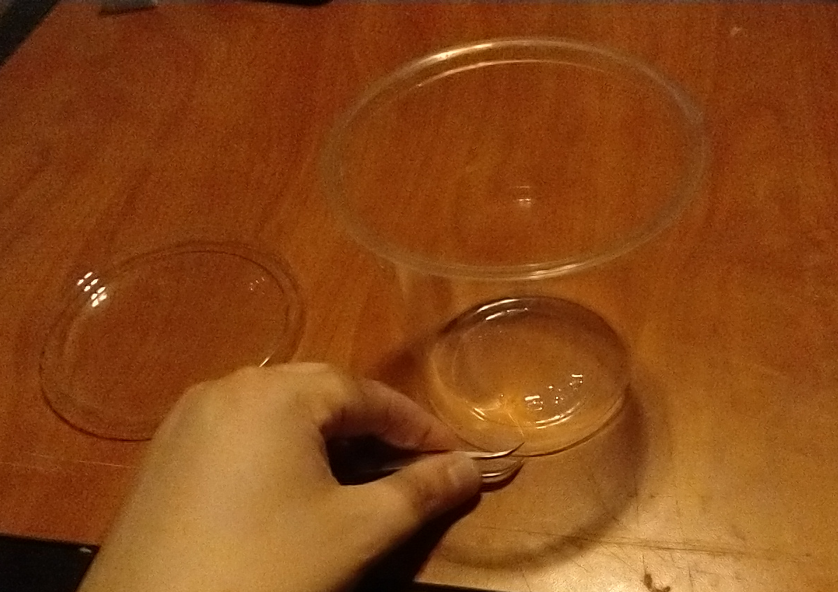 Perfect Praying Mantis Cups : 9 Steps (with Pictures) - Instructables