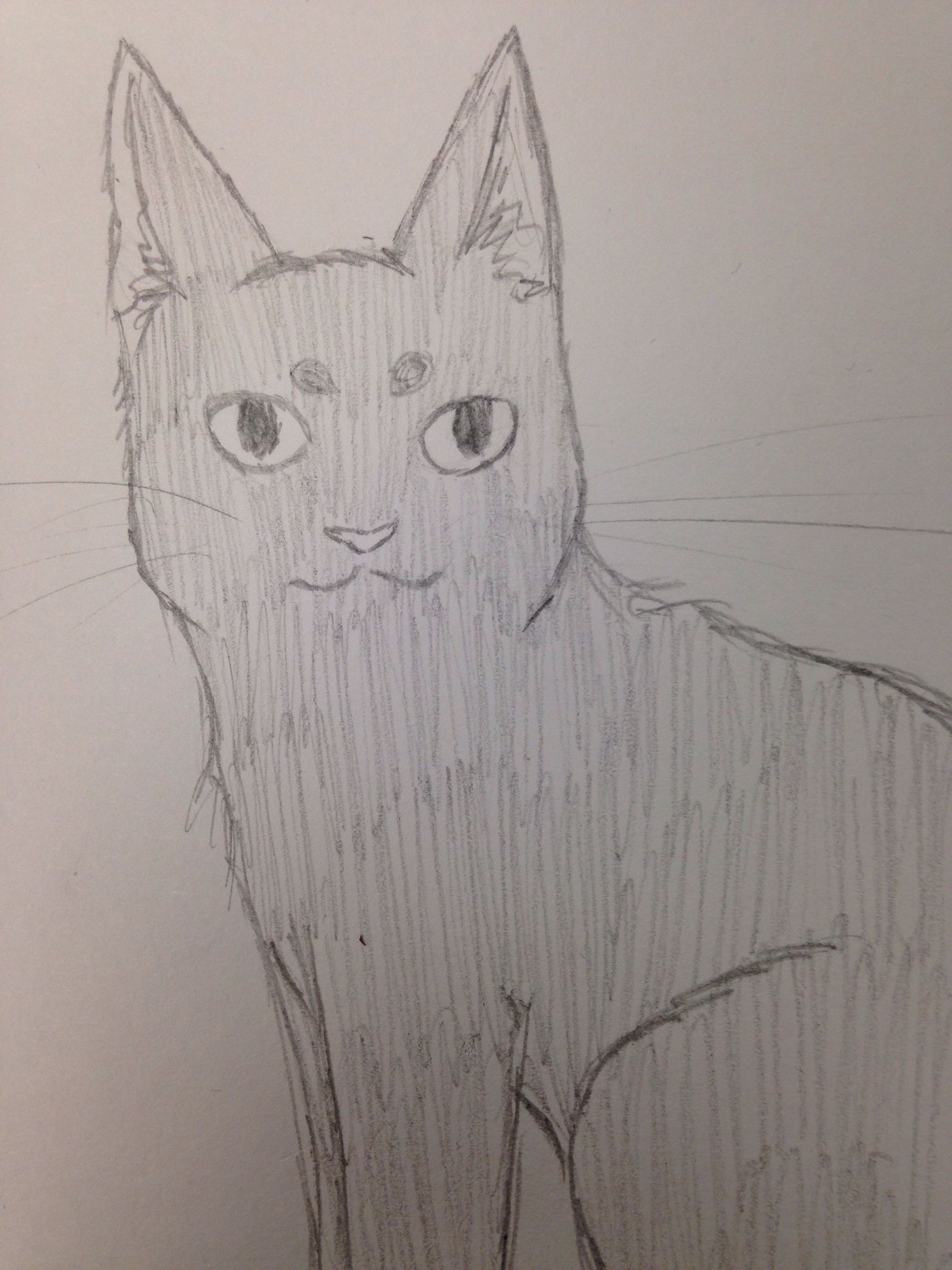 Drawing a Simple Cat : 8 Steps - Instructables