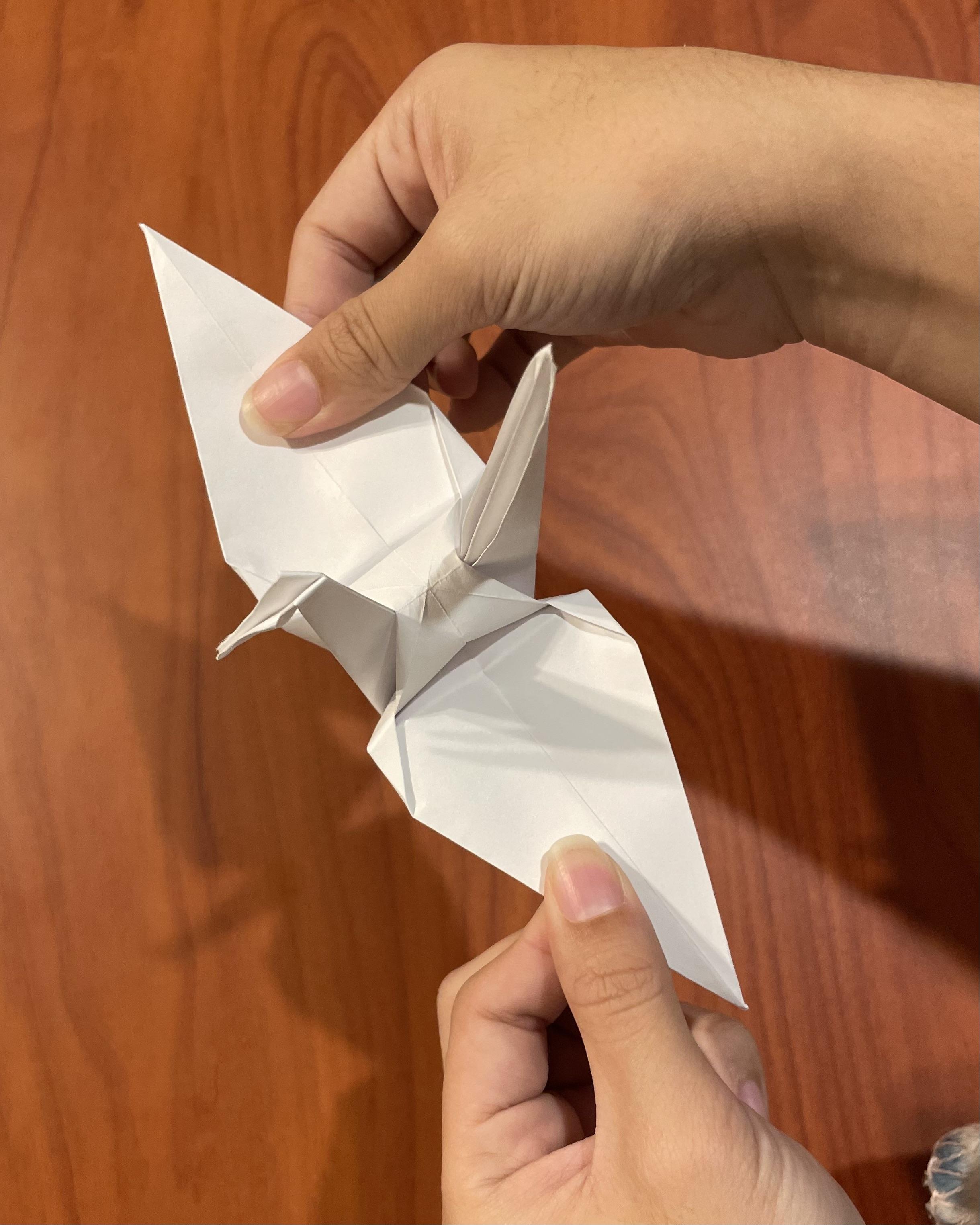 Origami Cranes : 19 Steps (with Pictures) - Instructables