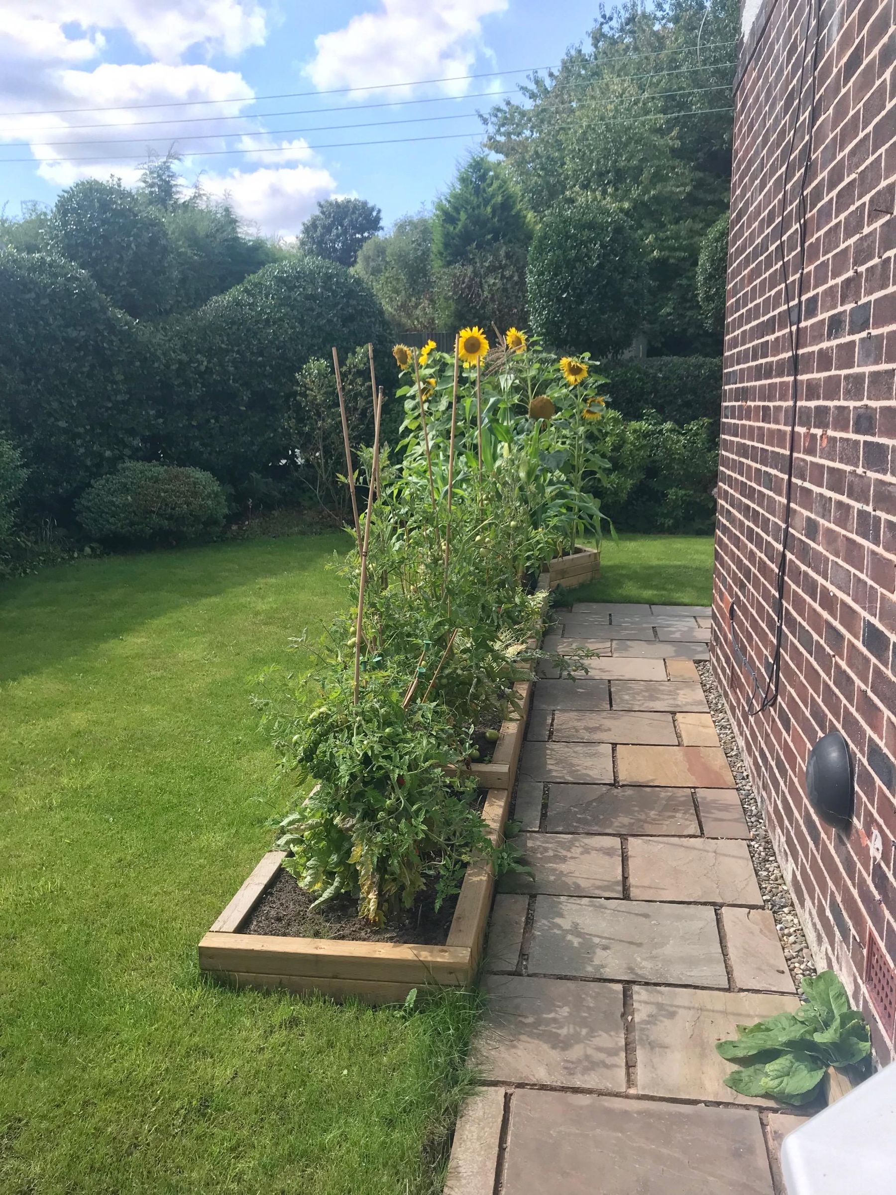 Multi Tiered Wooden Garden Vegetable Planter : 11 Steps (with Pictures ...