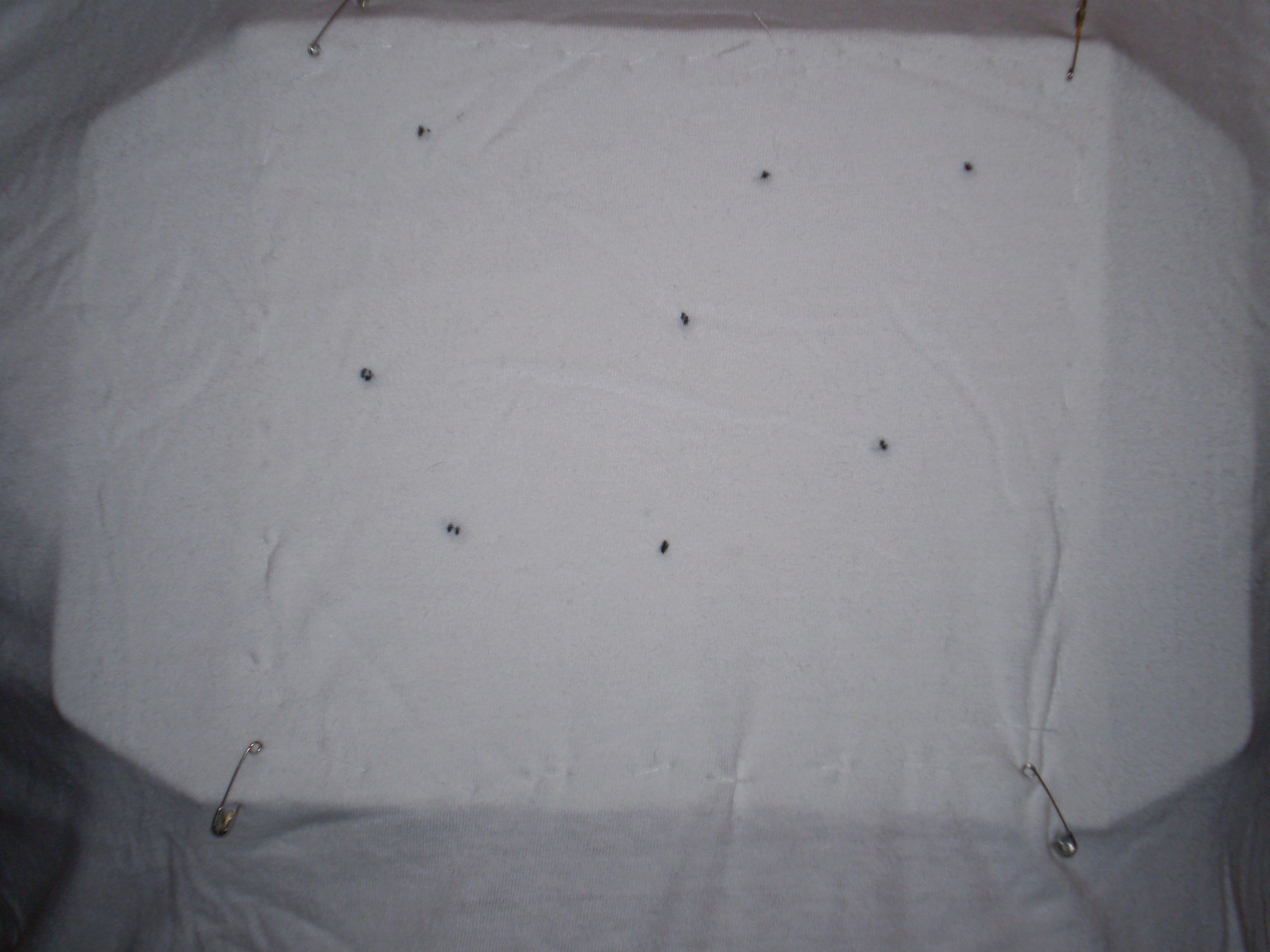 Multiple Stab Wound Costume for Under $5 : 7 Steps - Instructables