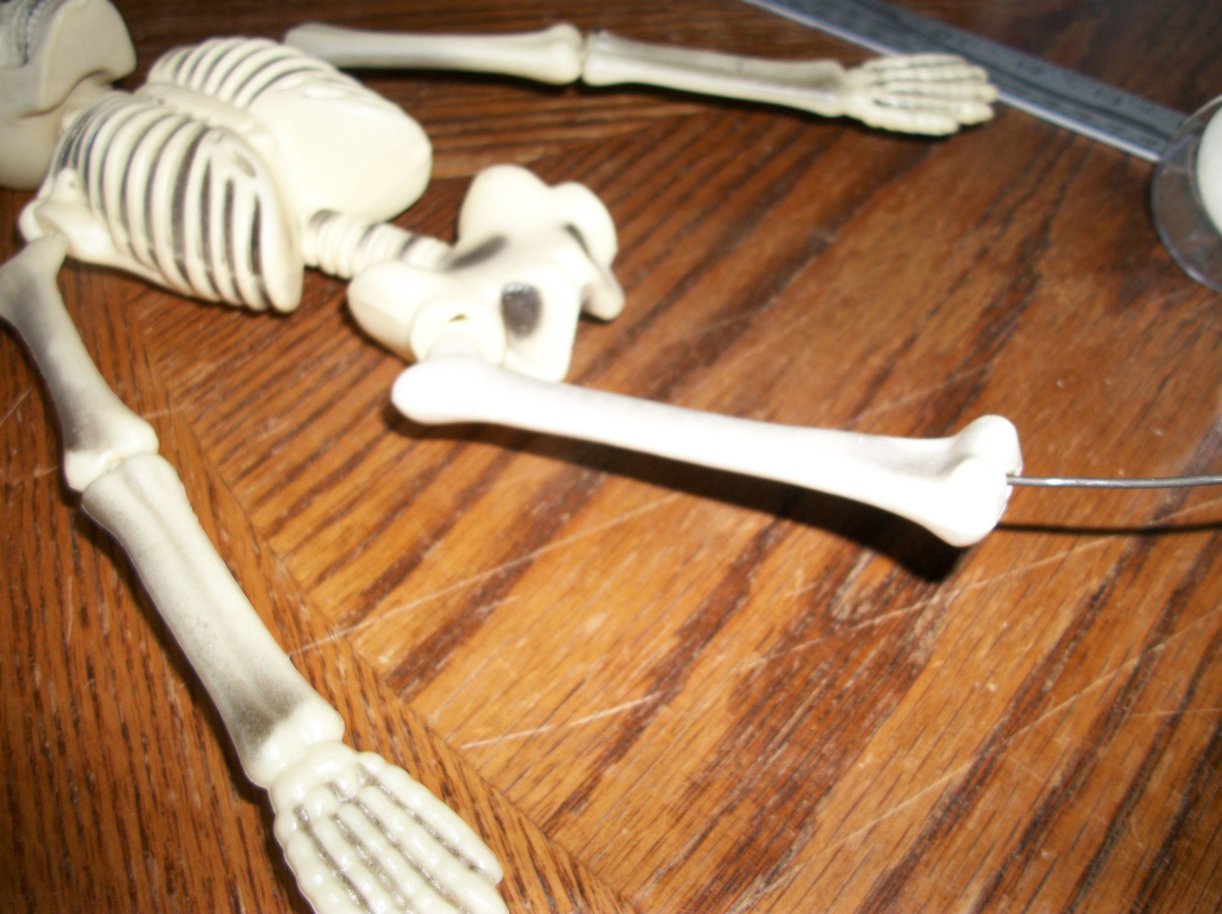 Posable Skelly : 5 Steps (with Pictures) - Instructables