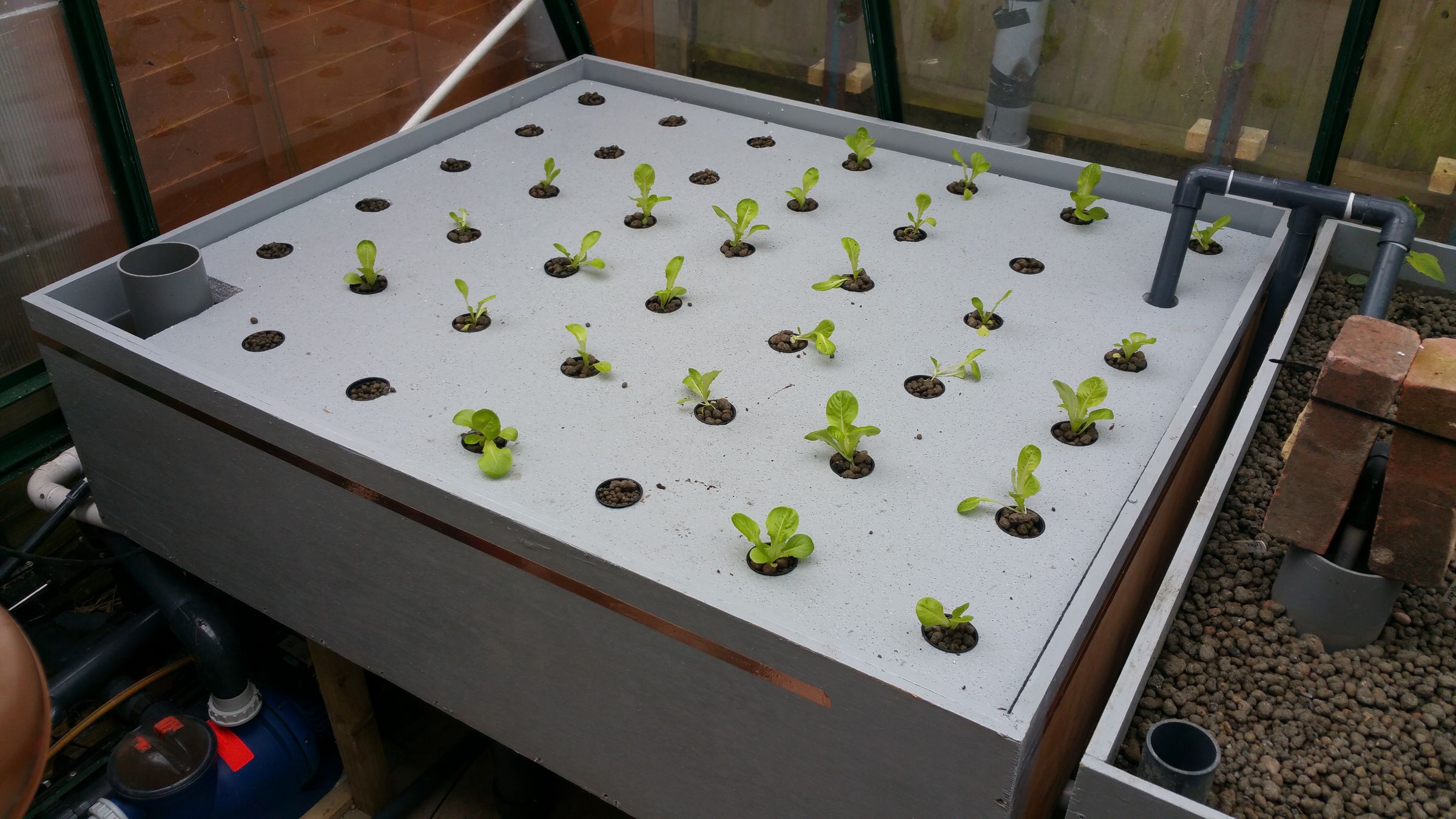 Building an Aquaponic Grow Bed Flood and Drain. : 10 Steps (with ...