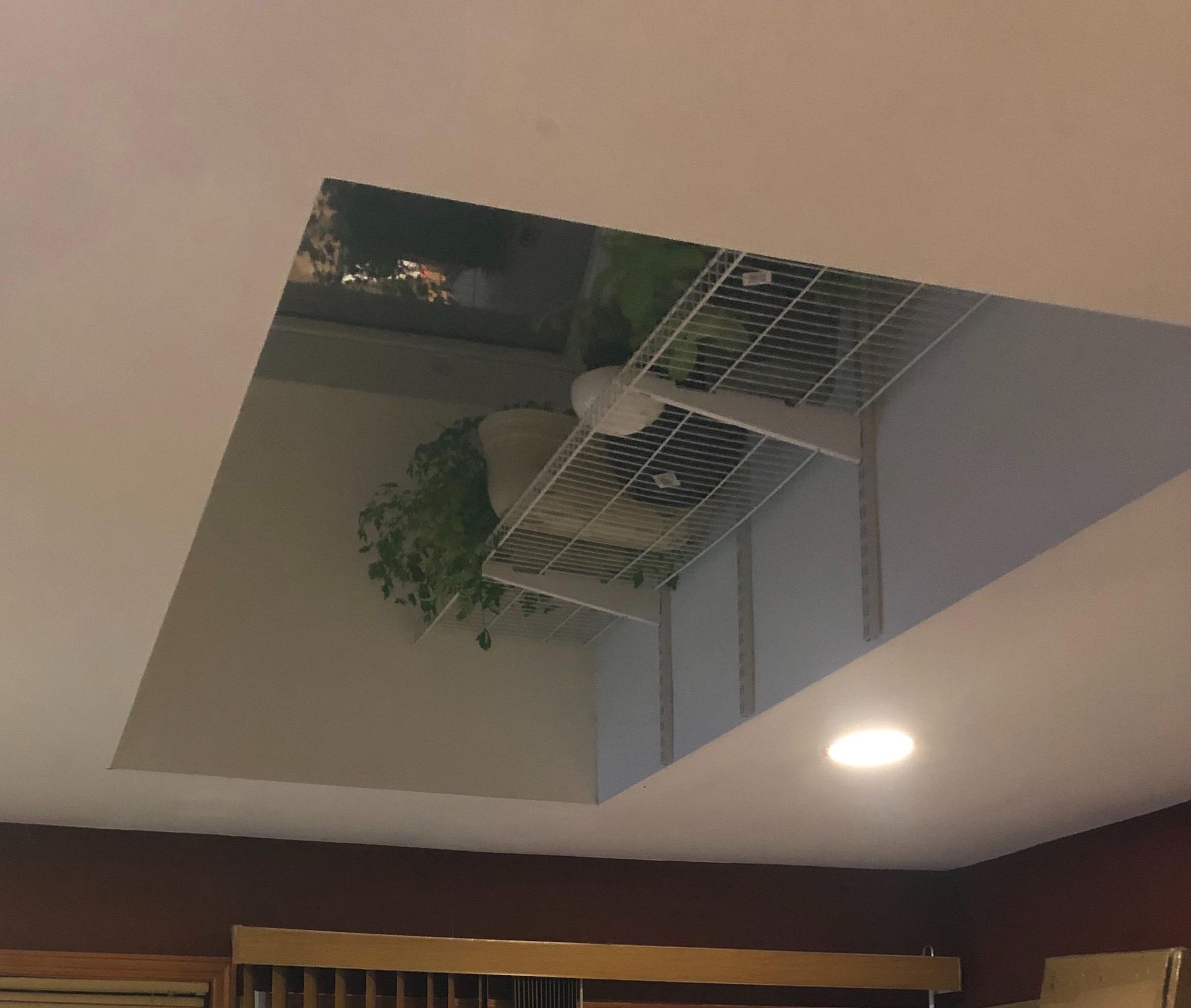 Automated Skylight Greenhouse : 12 Steps (with Pictures) - Instructables