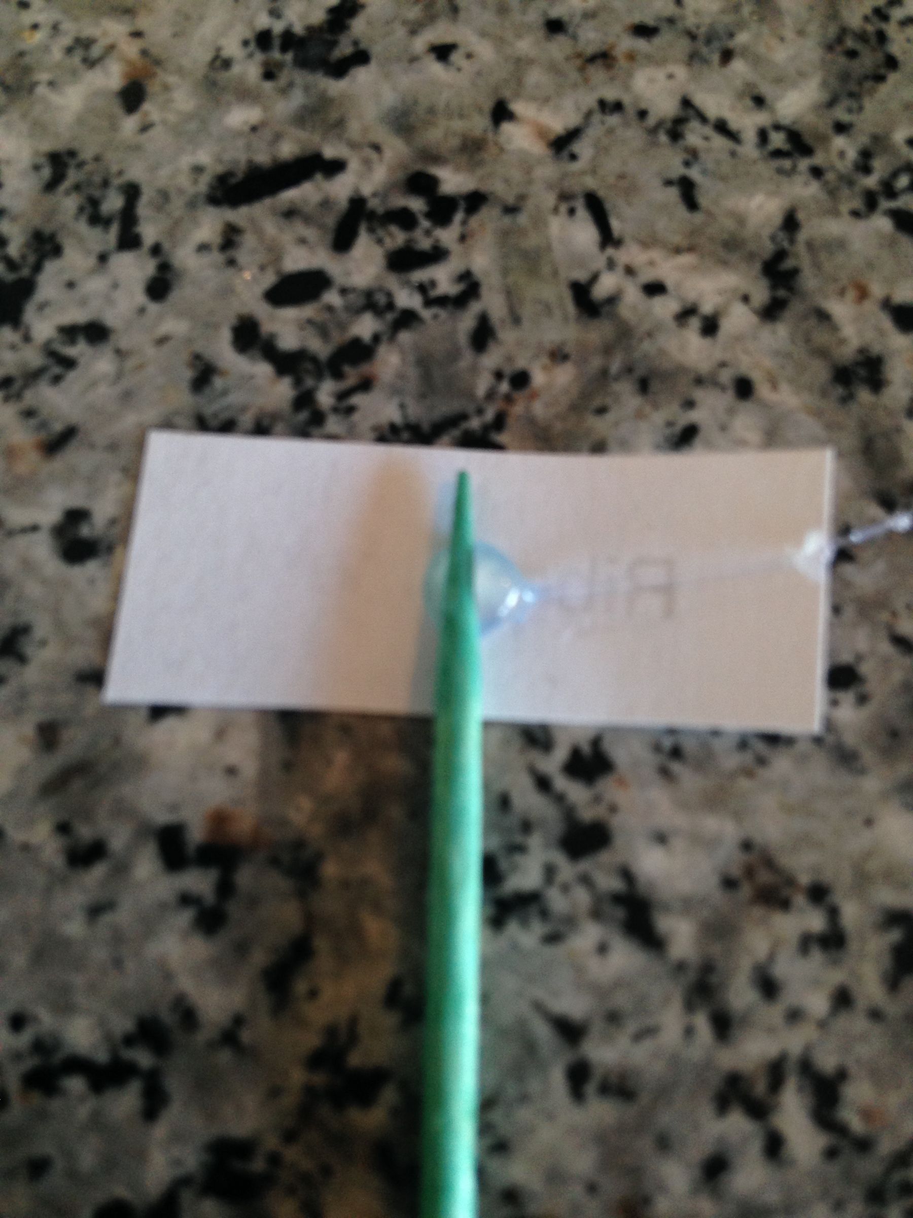 Animal Cell Learning Tool : 18 Steps (with Pictures) - Instructables