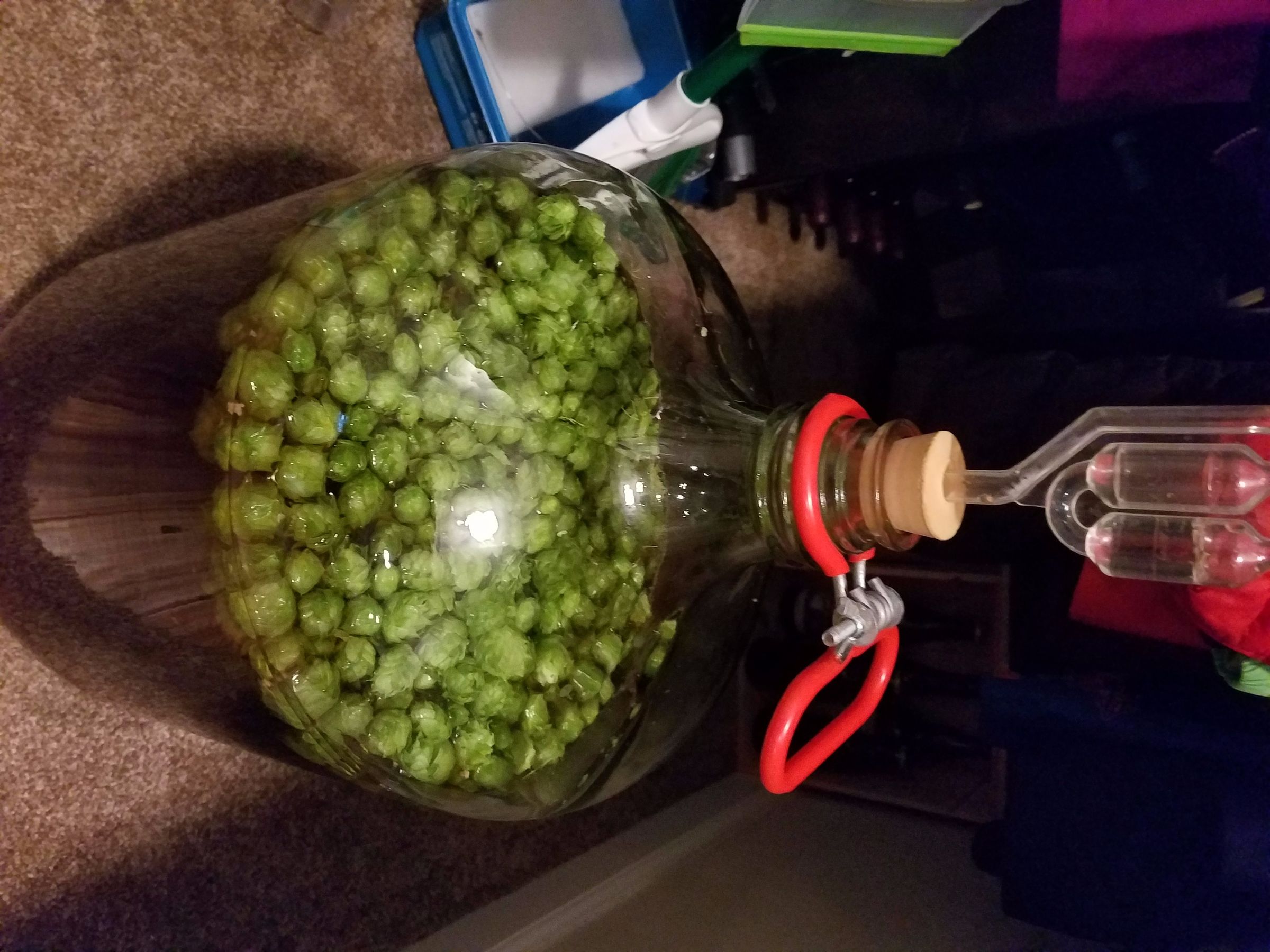 Fresh Hop "Dry Hopping" Your Homebrew : 4 Steps (with Pictures ...