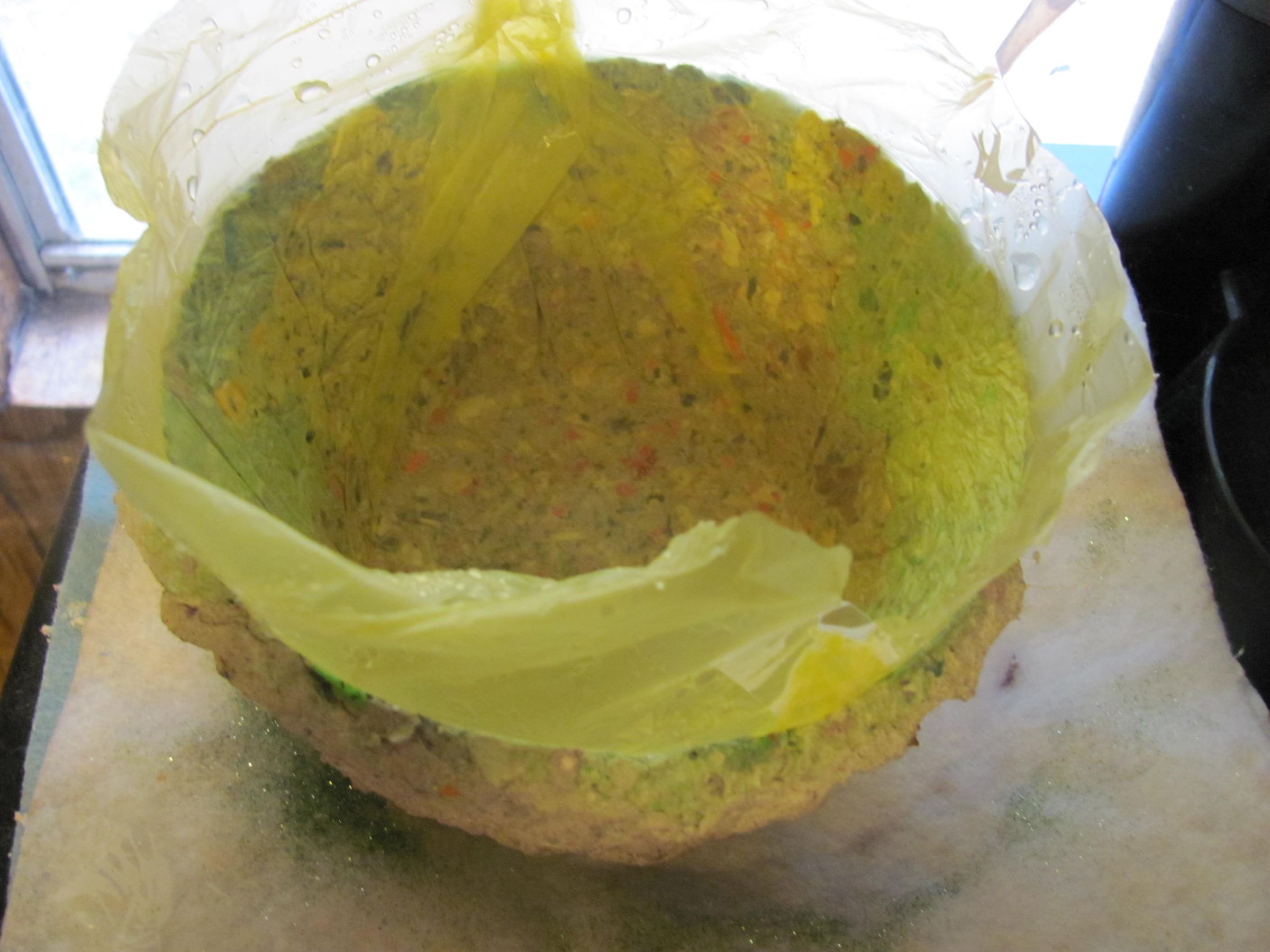 Recycled Paper Bowl : 8 Steps (with Pictures) - Instructables