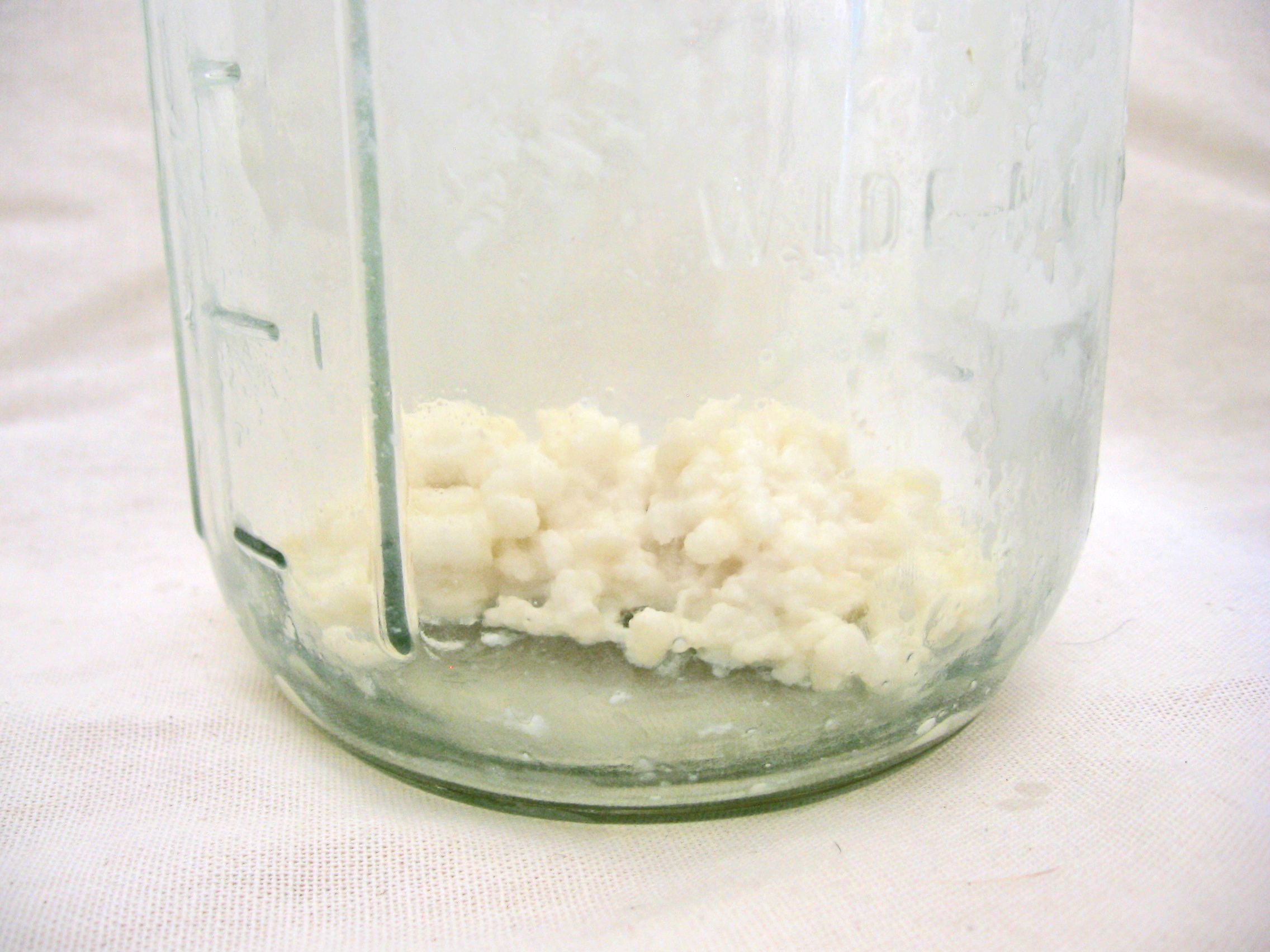 How to Make Authentic Milk Kefir : 7 Steps - Instructables